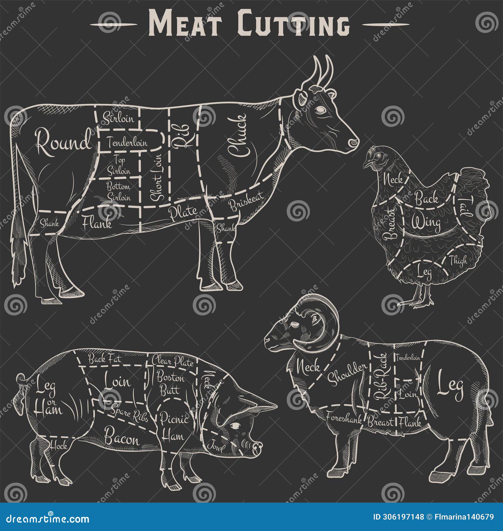 Vector Butcher Diagram Guide for Cutting Meat Stock Vector ...