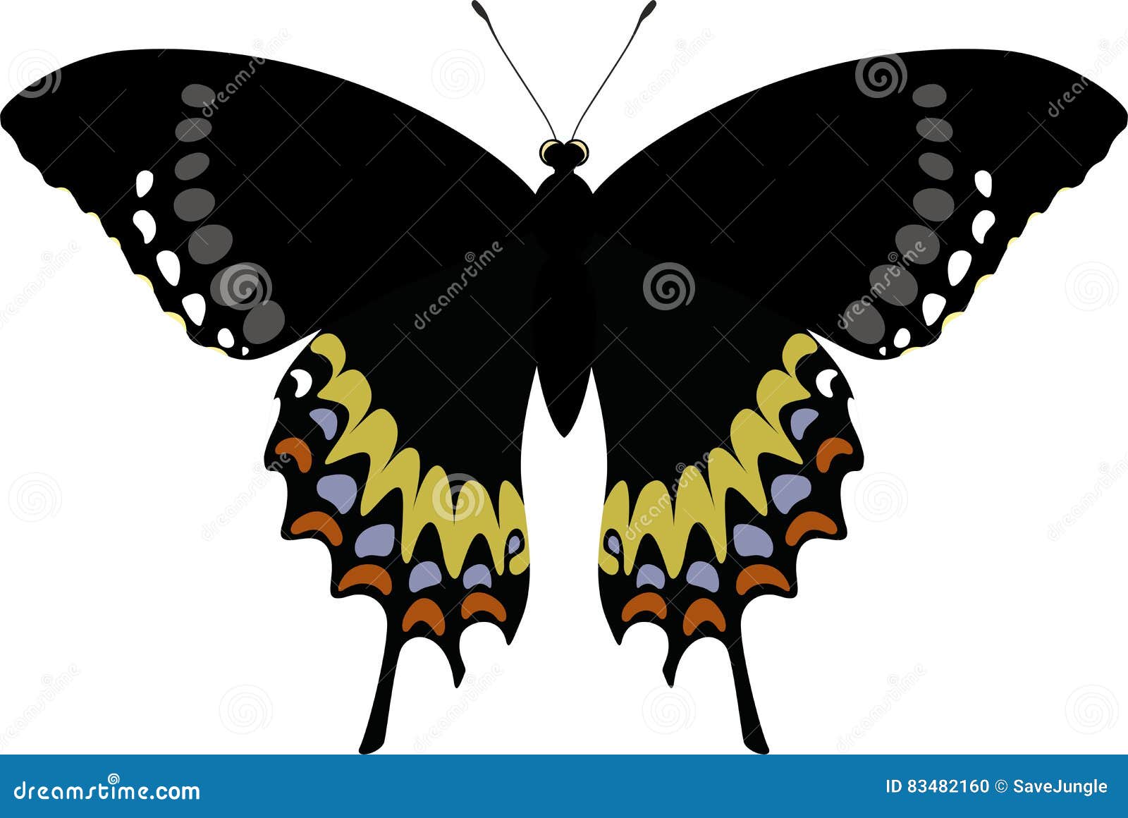 Vector Butterfly Isolated Papilio Garamas Electryon Stock Vector ...