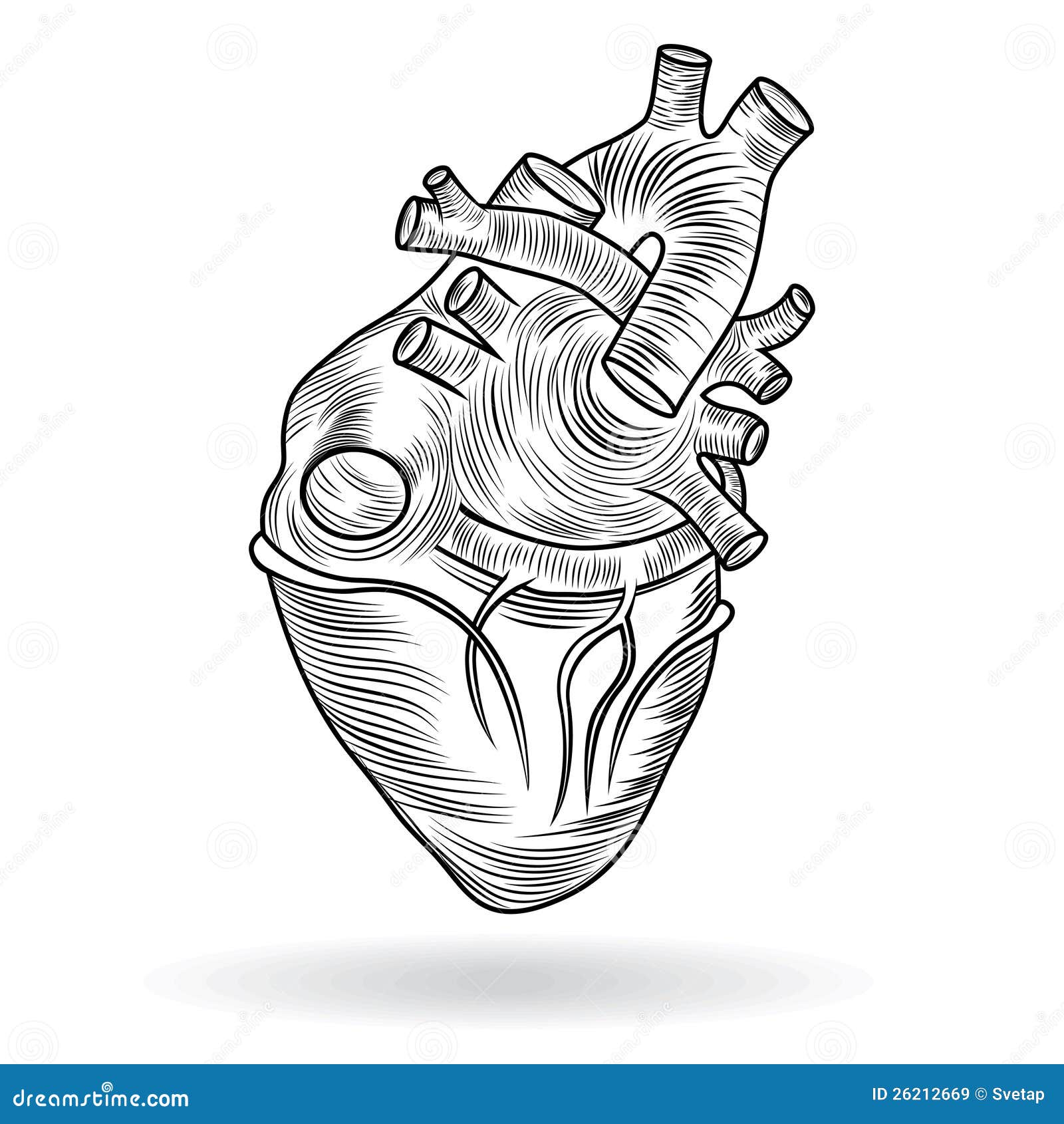 Atrium Icon Stock Illustrations – 899 Atrium Icon Stock Illustrations ...