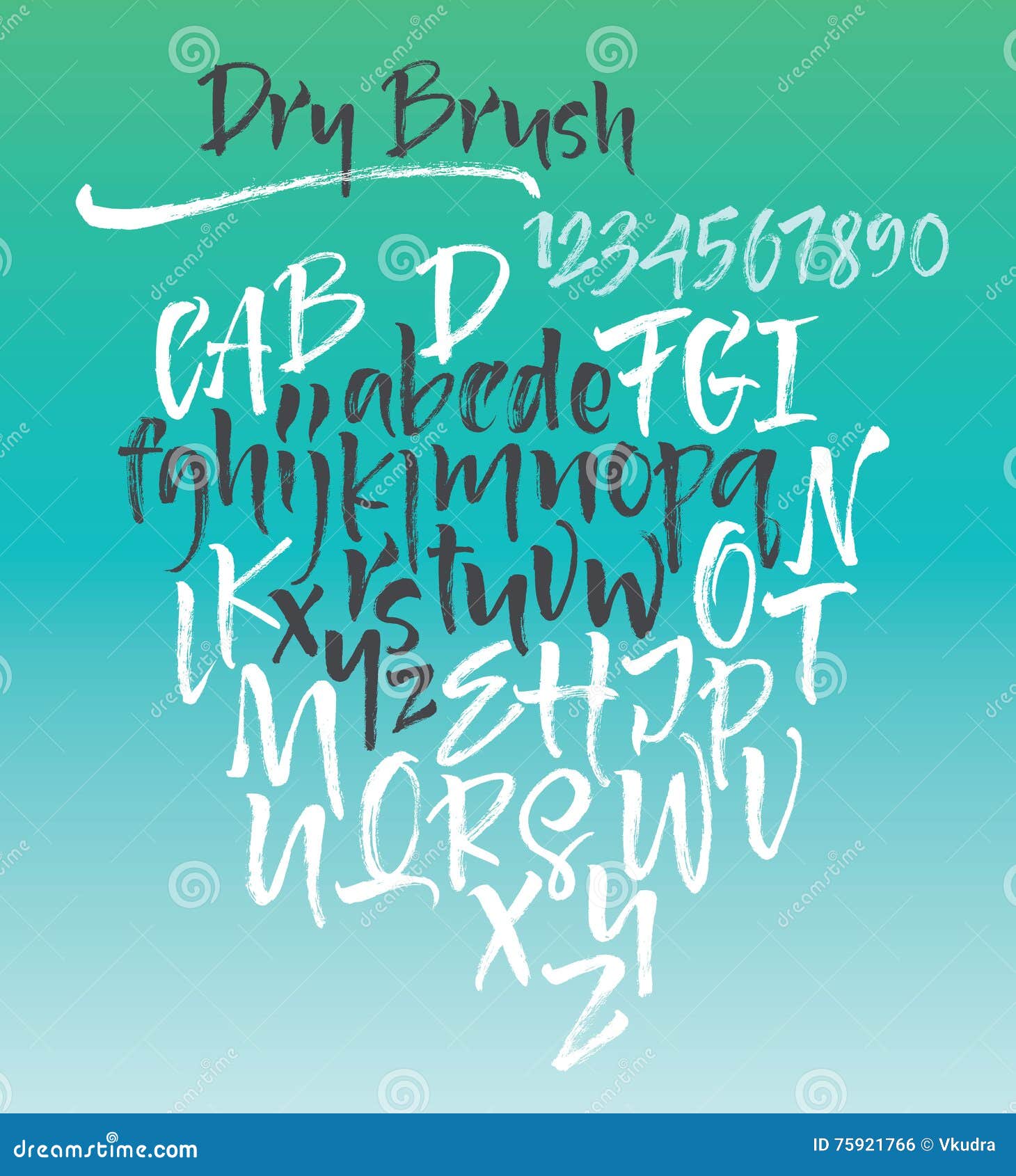 Calligraphic Alphabet. Vector Letters And Numbers. Hand Drawn Typeface ...