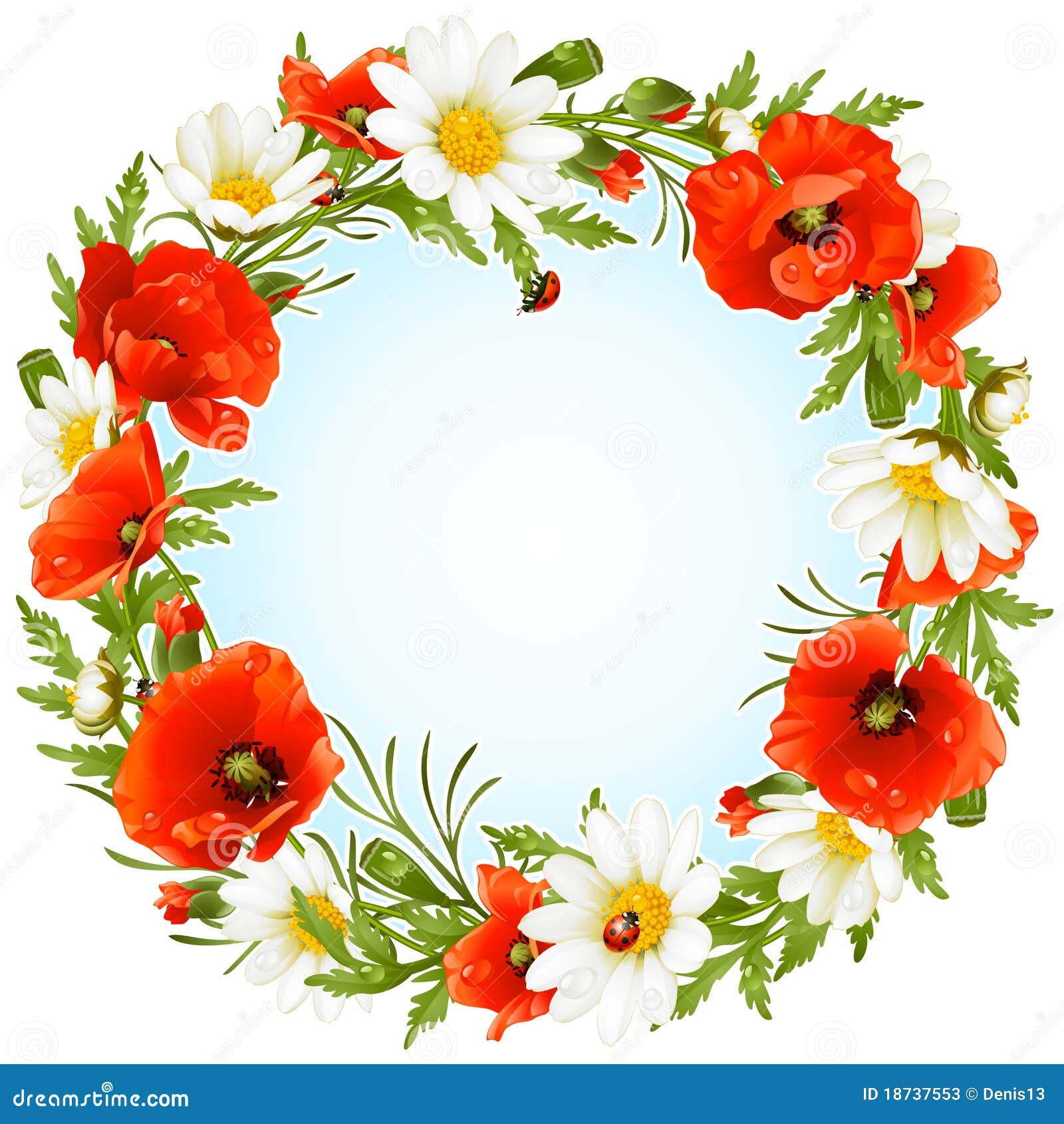 Vector Camomile and Poppy Frame Stock Vector - Illustration of bouquet ...