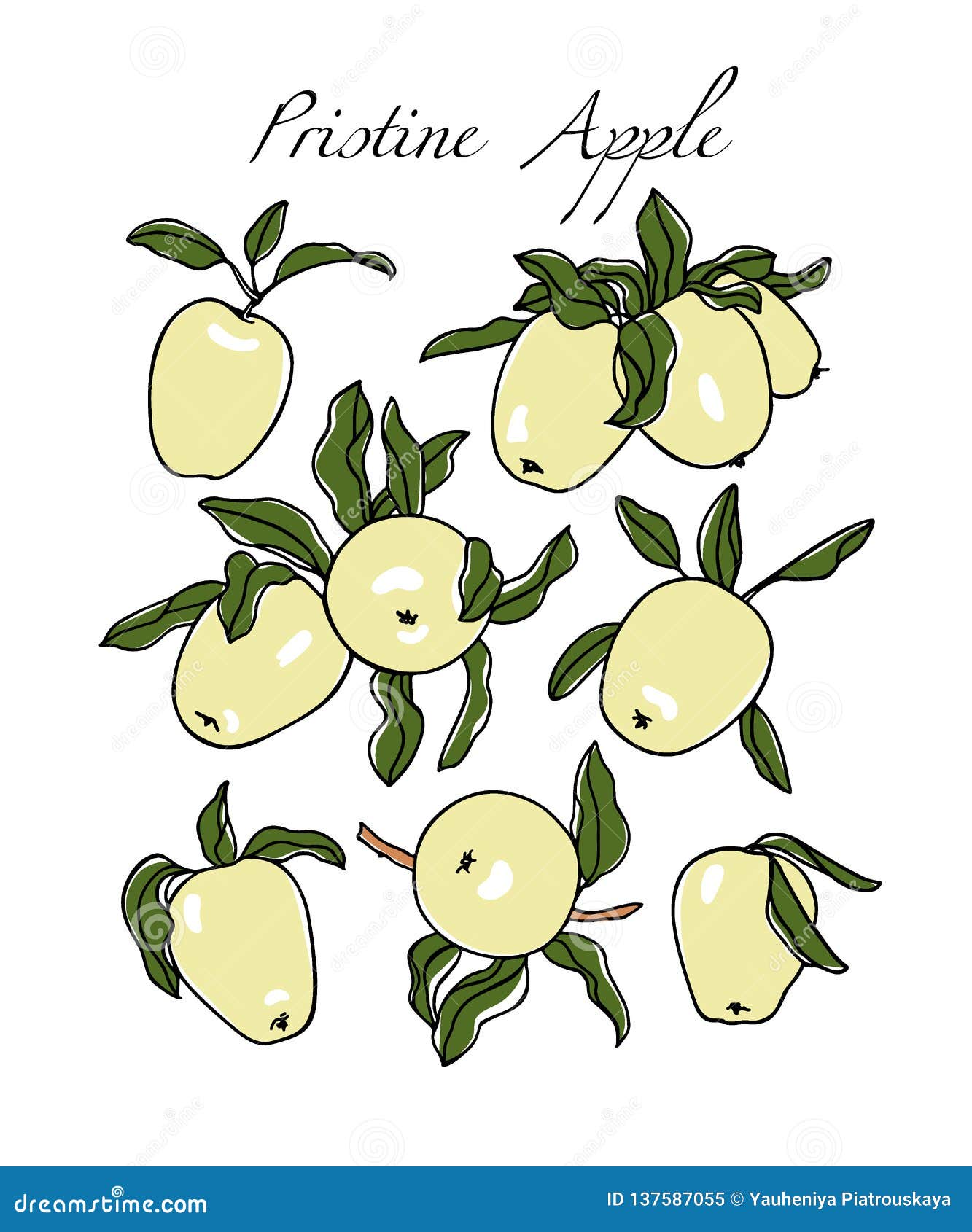 Hand Drawn Apple Tree Branches Stock Vector - Illustration of crisp ...