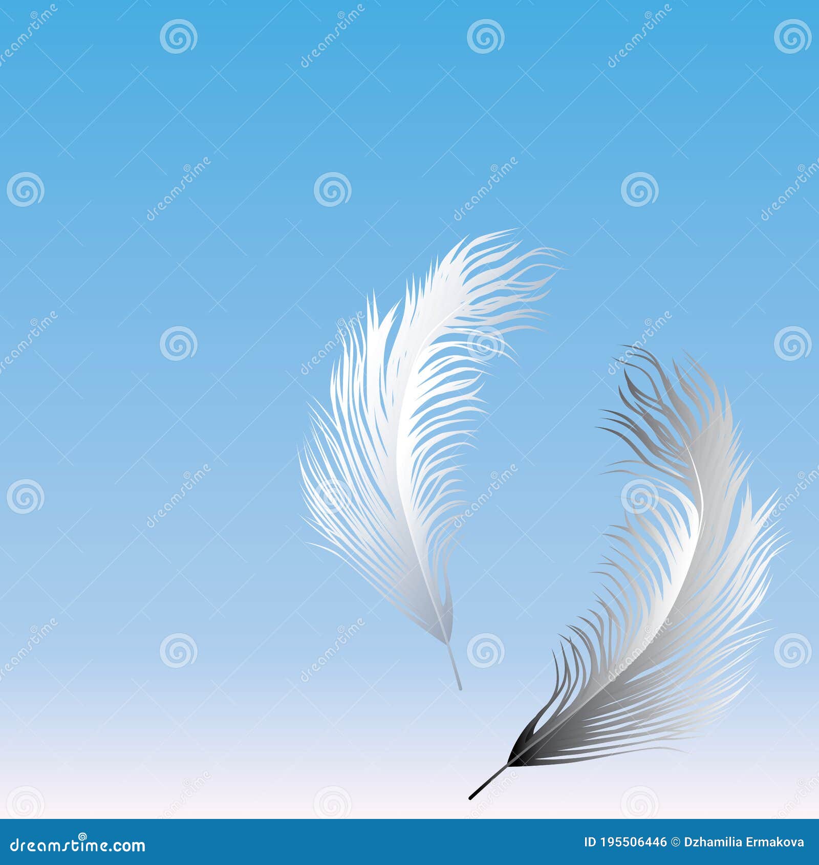 Vector Card with Two Delicate Feathers Flying in Sky Stock Vector ...