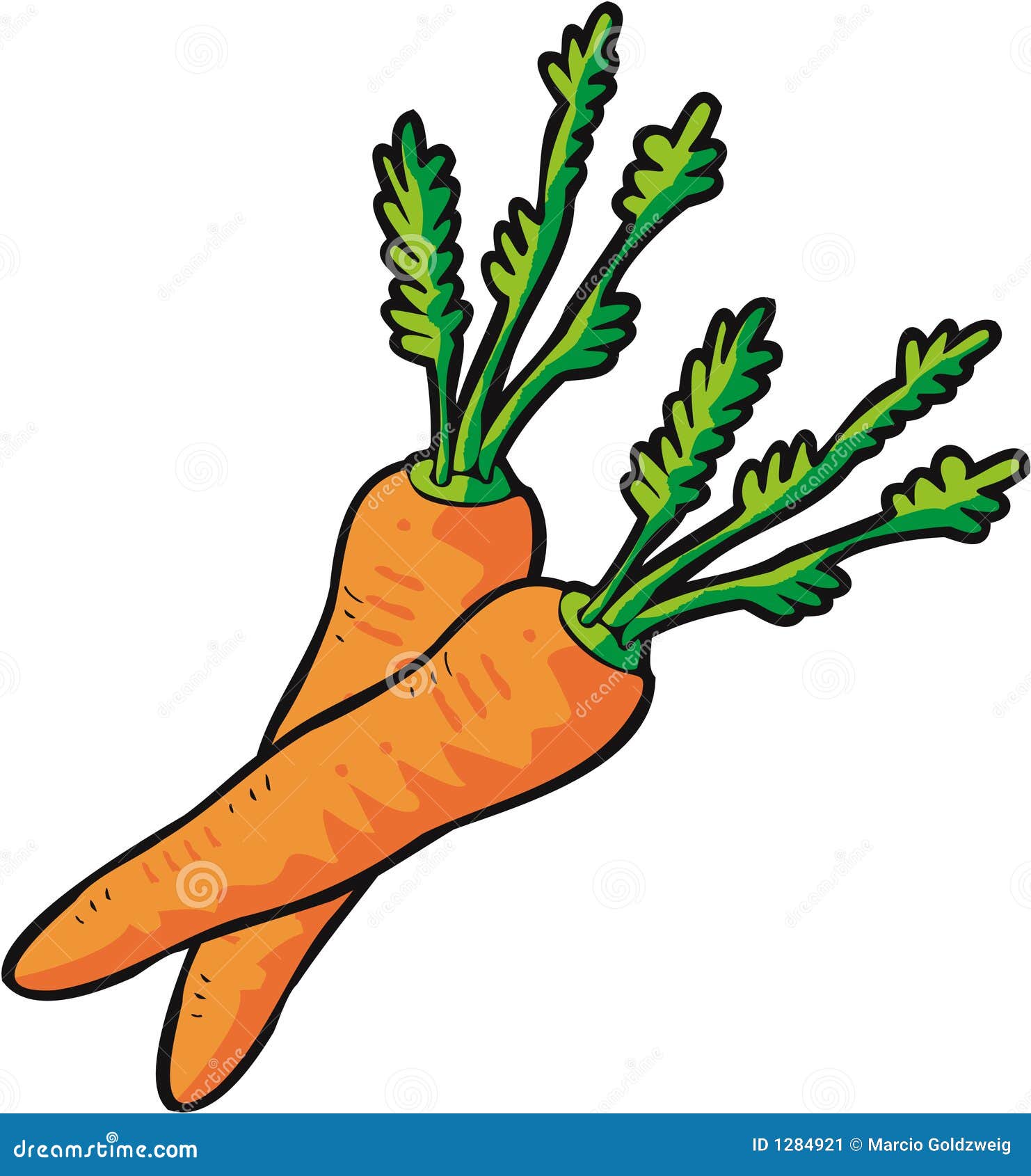Carrots Cartoon Vector | CartoonDealer.com #7758413