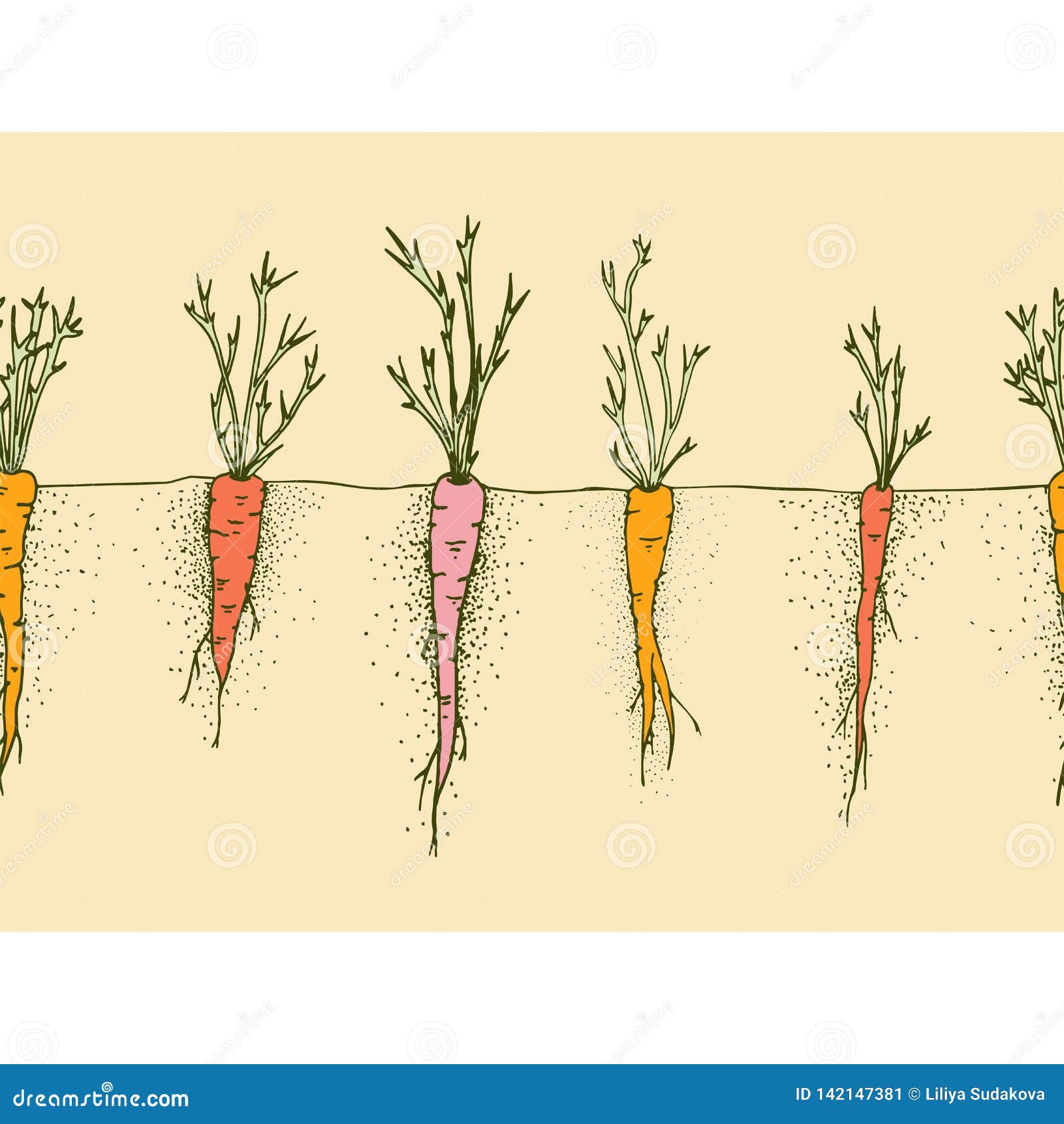 Vector Carrots Hand Drawn Clip Art Set Of Colorful Vegetables And Roots ...