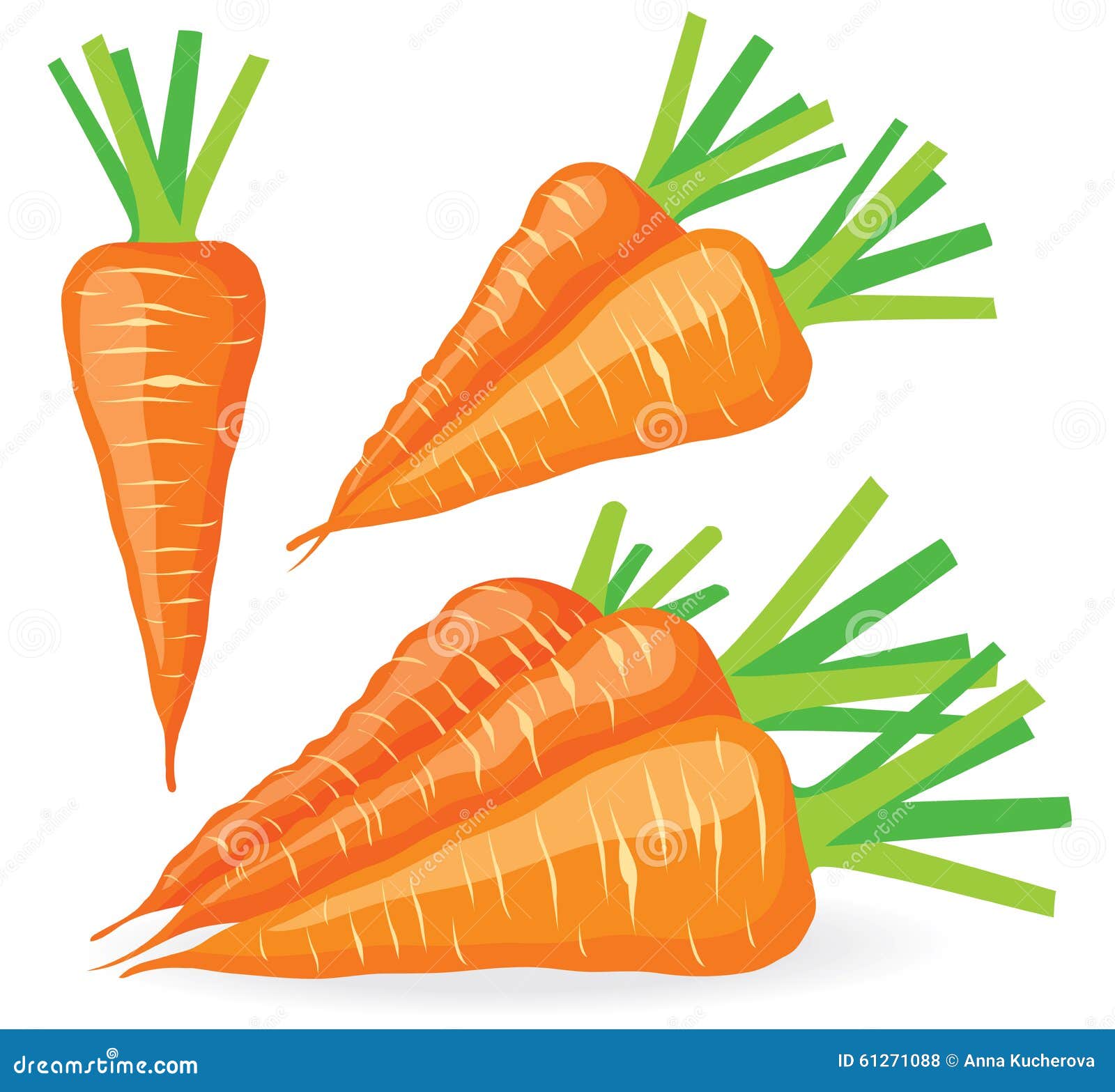 Vector carrots set stock vector. Illustration of three - 61271088