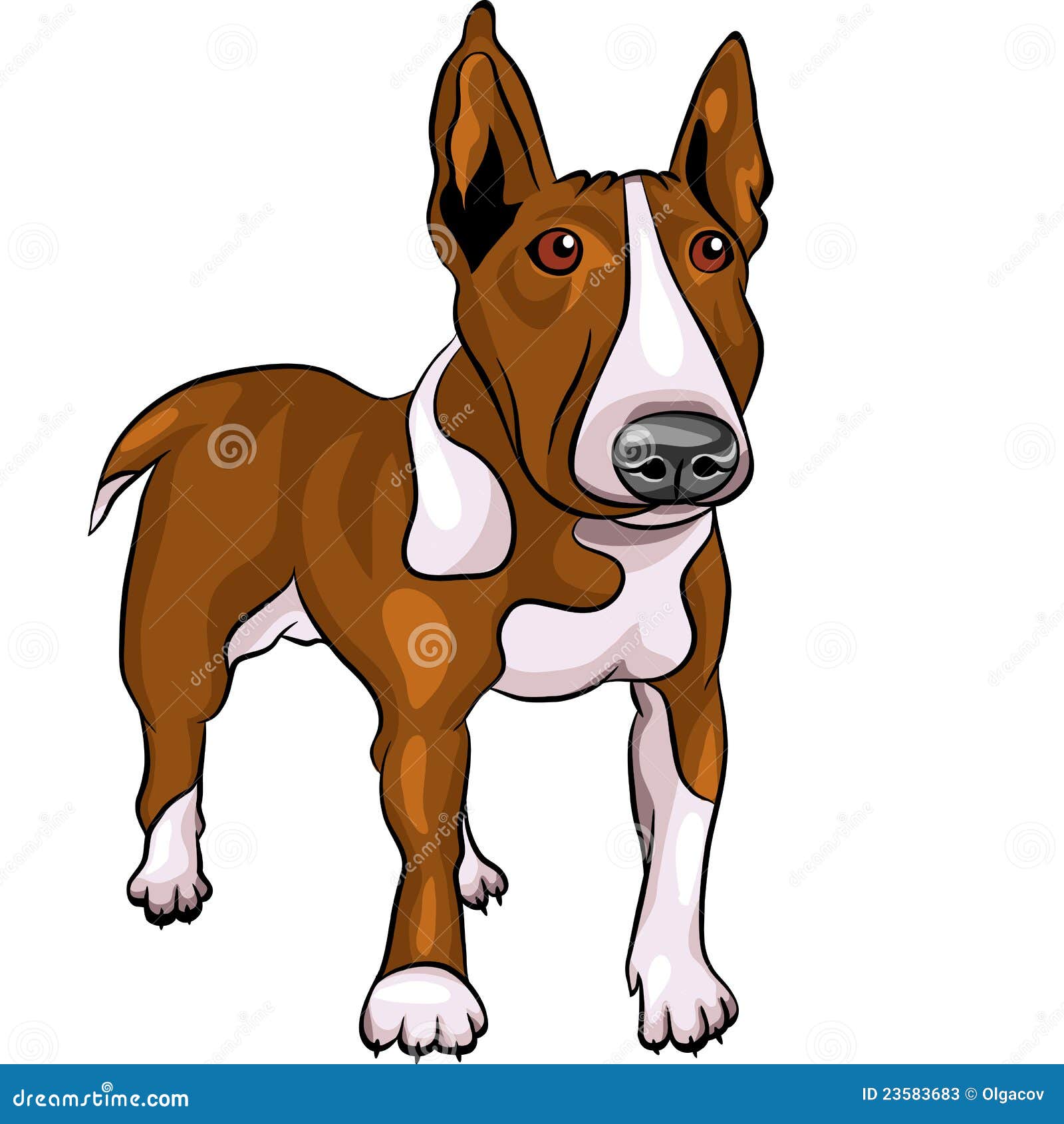 Vector Cartoon Bull Terrier Dog Breed Stock Vector - Illustration of ...