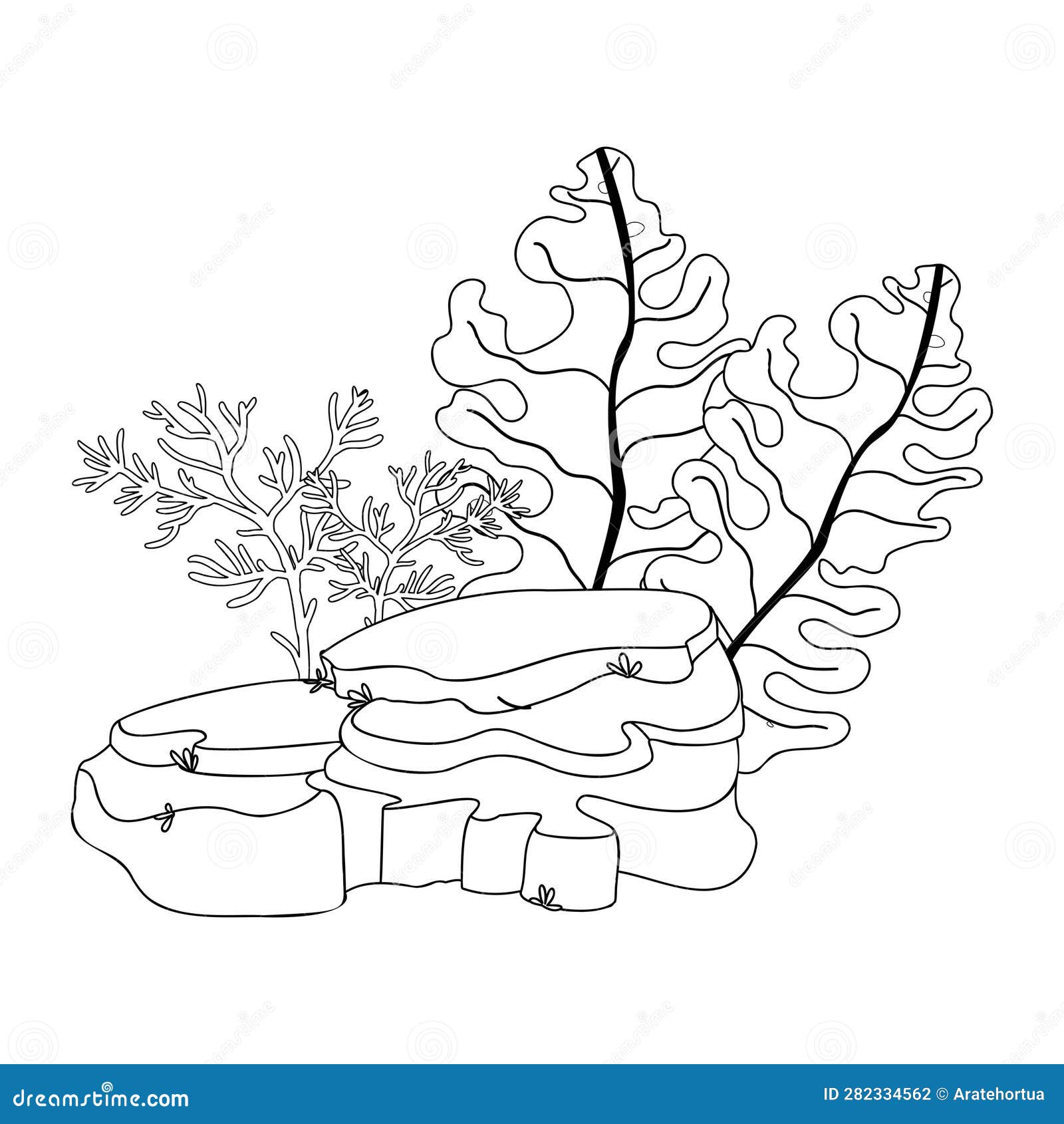 Vector Cartoon Coral Character Isolated Illustration Stock Vector ...