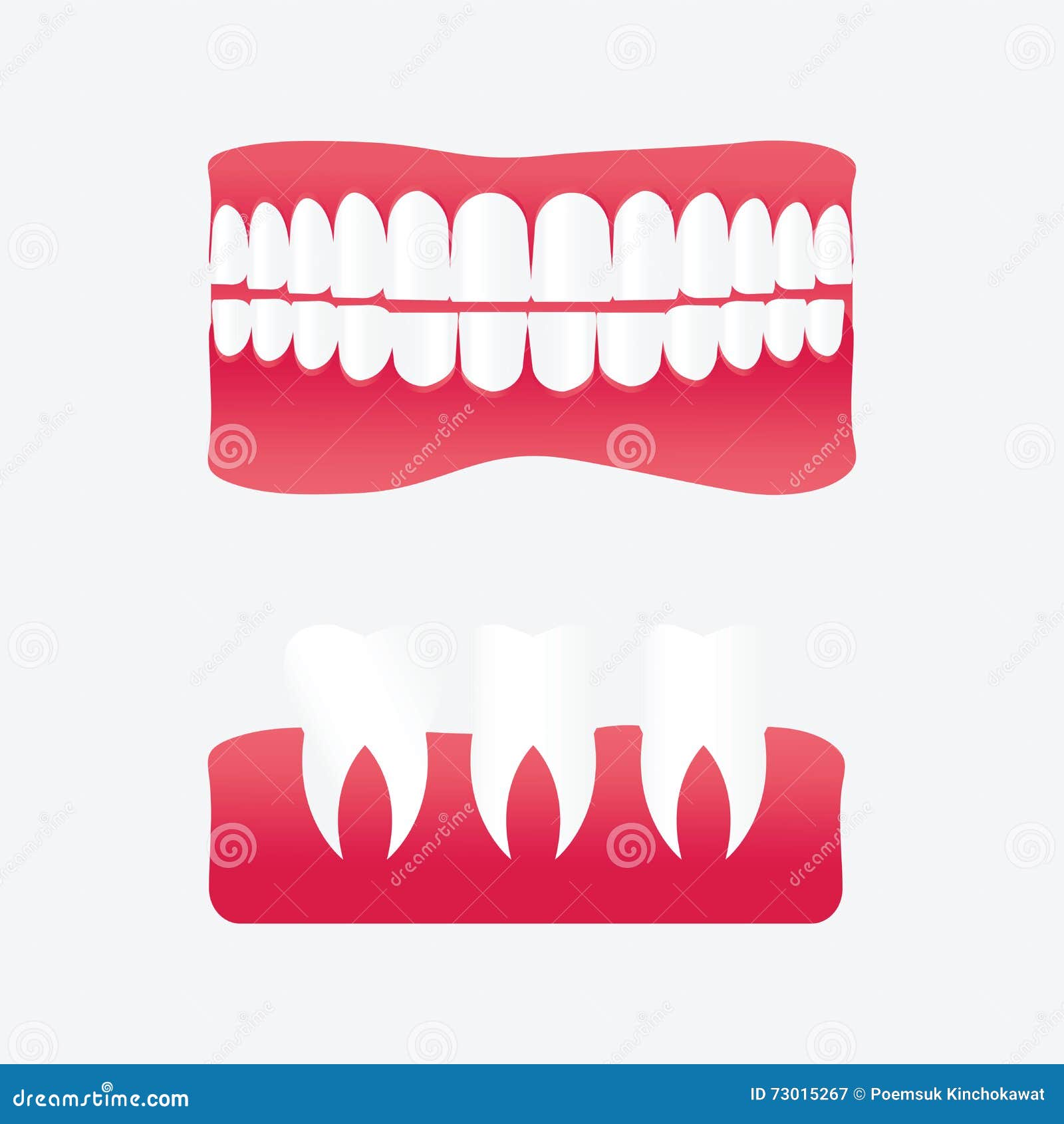 Vector cartoon false teeth stock vector. Illustration of medical - 73015267