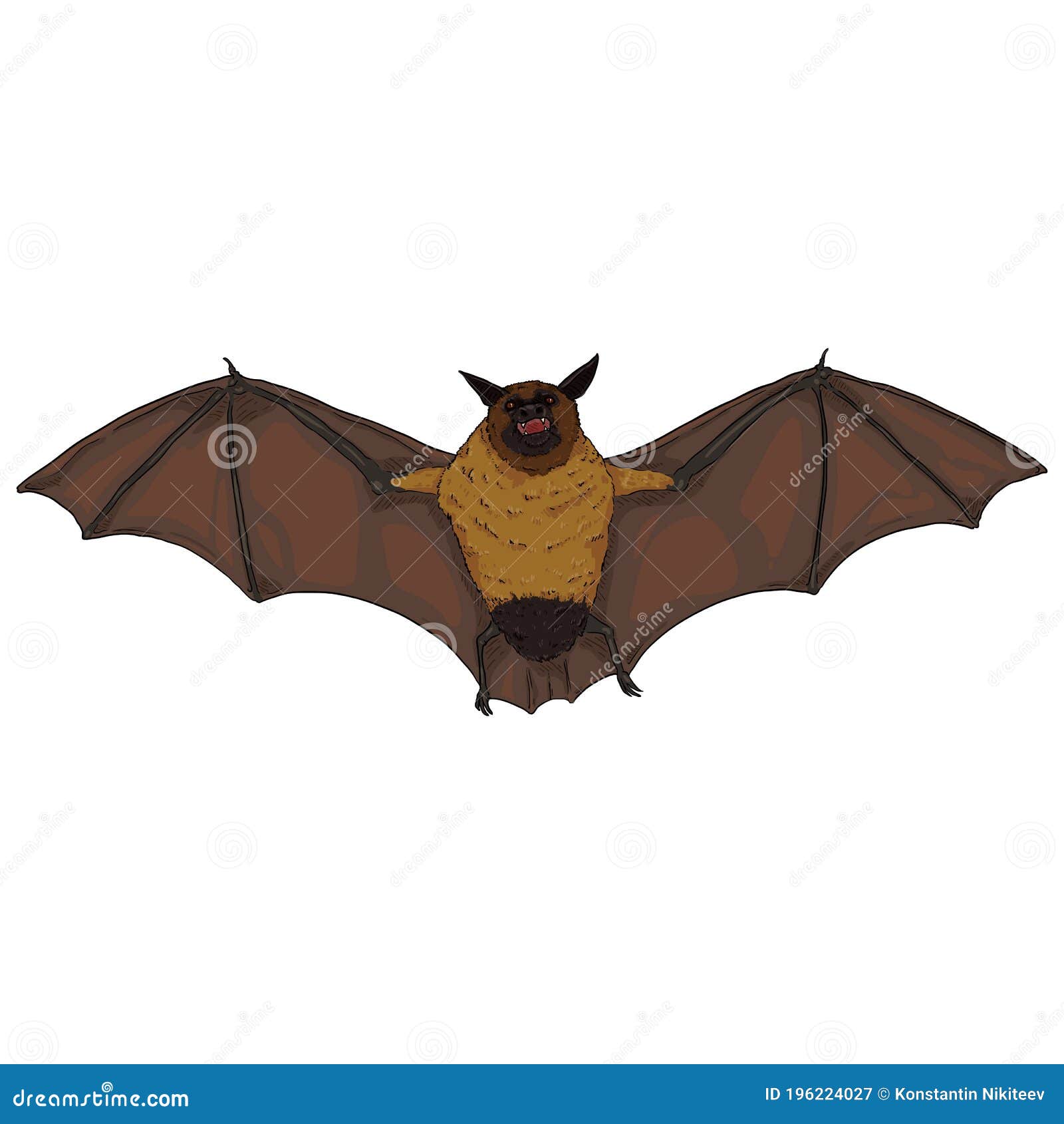 Vector Cartoon Flying Fox stock vector. Illustration of holiday - 196224027