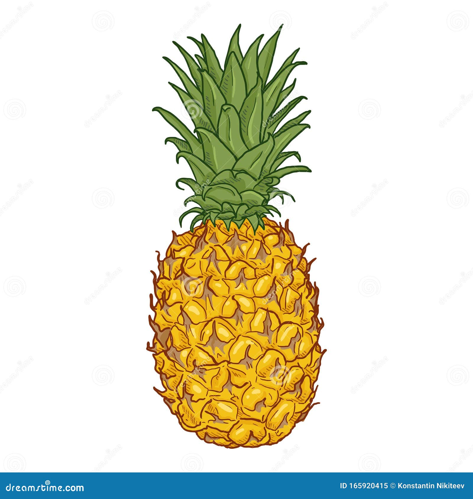 Ananas French Cartoon at Nancy Merchant blog