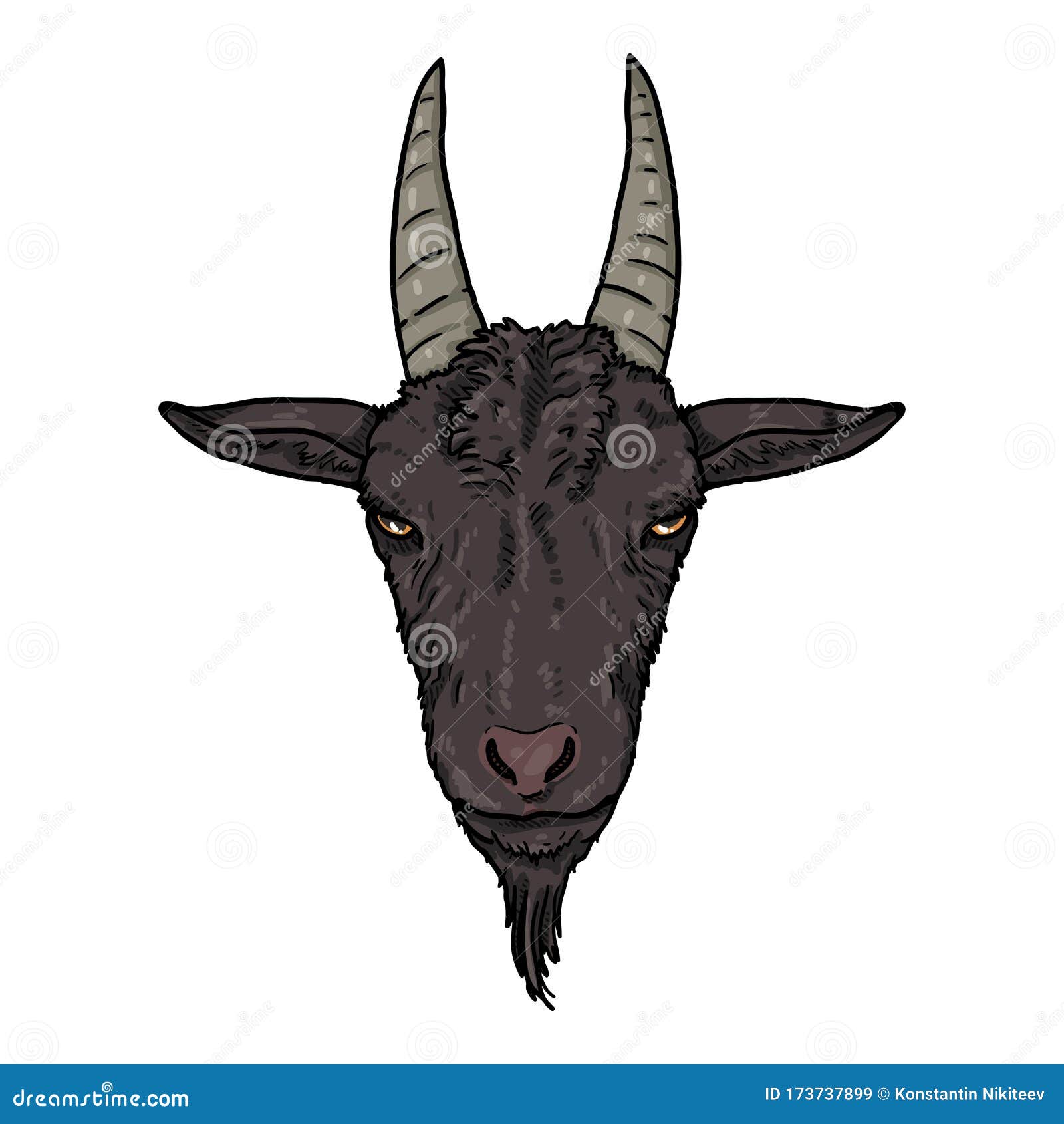 Vector Cartoon Goat Head stock vector. Illustration of farm - 173737899