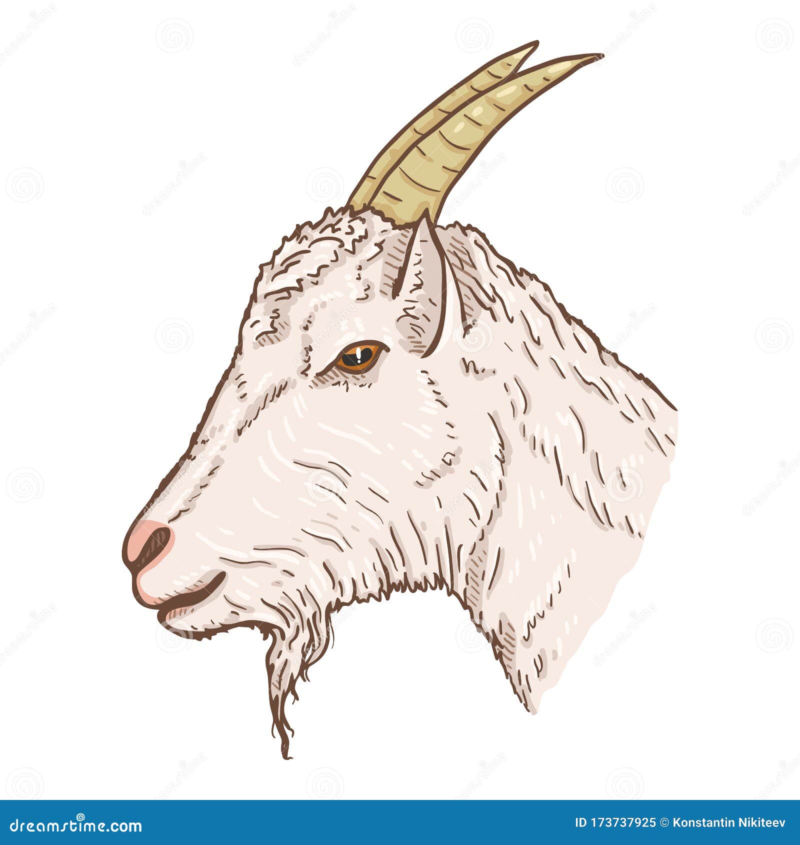 Vector Cartoon Goat Head stock vector. Illustration of comics - 173737925