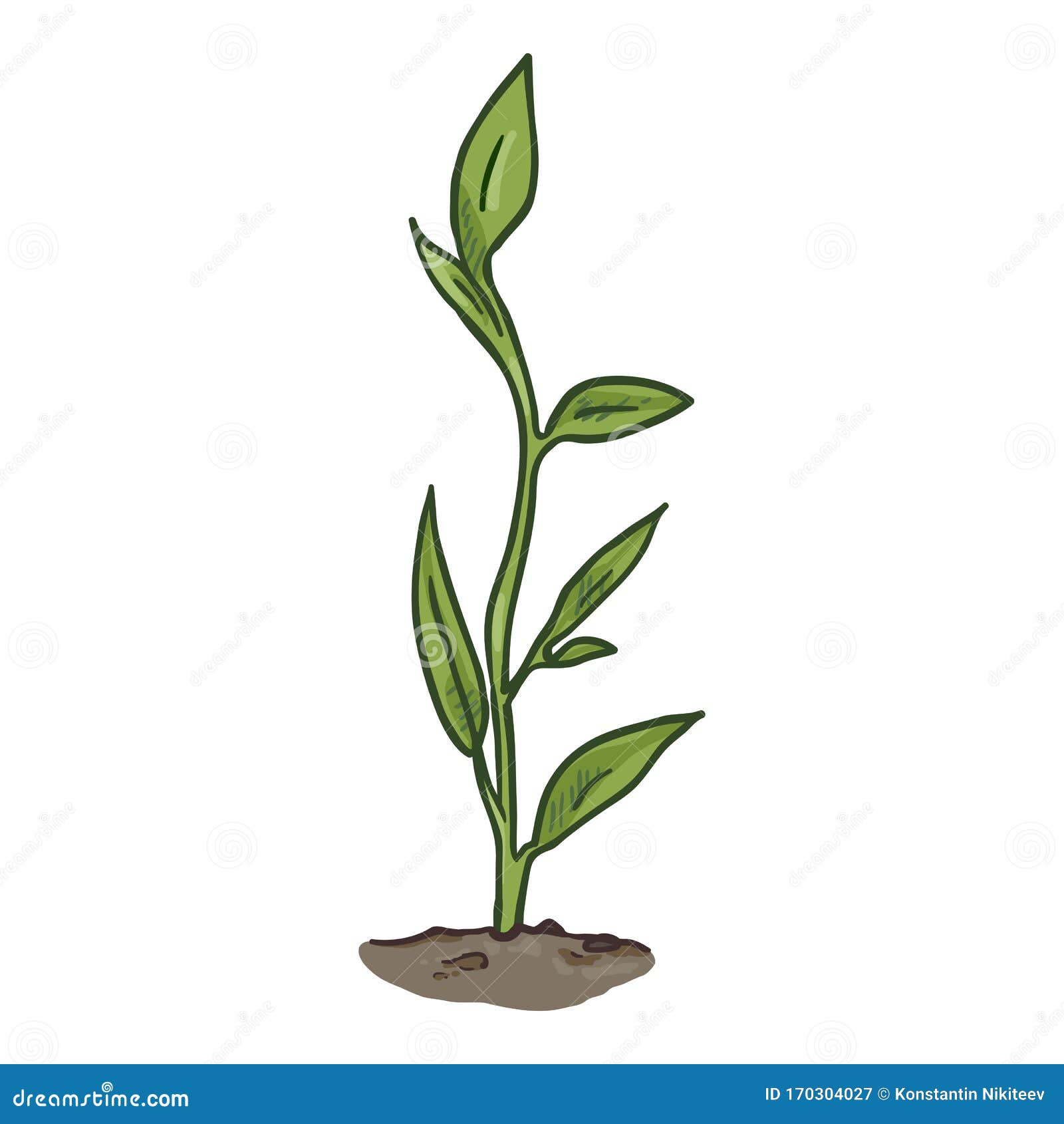 Vector Cartoon Green Sprout Stock Vector - Illustration of leaves ...