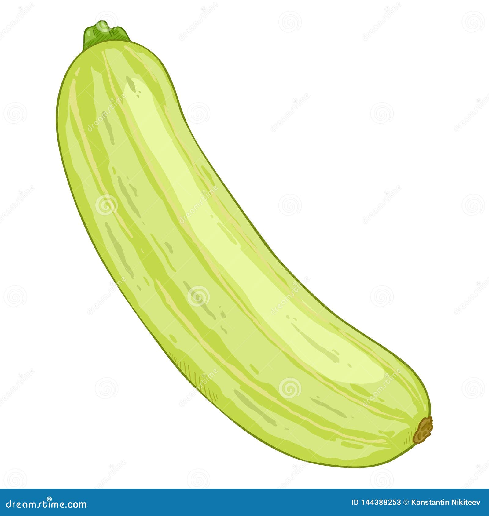 Vector Cartoon Green Zucchini Stock Vector - Illustration of natural ...