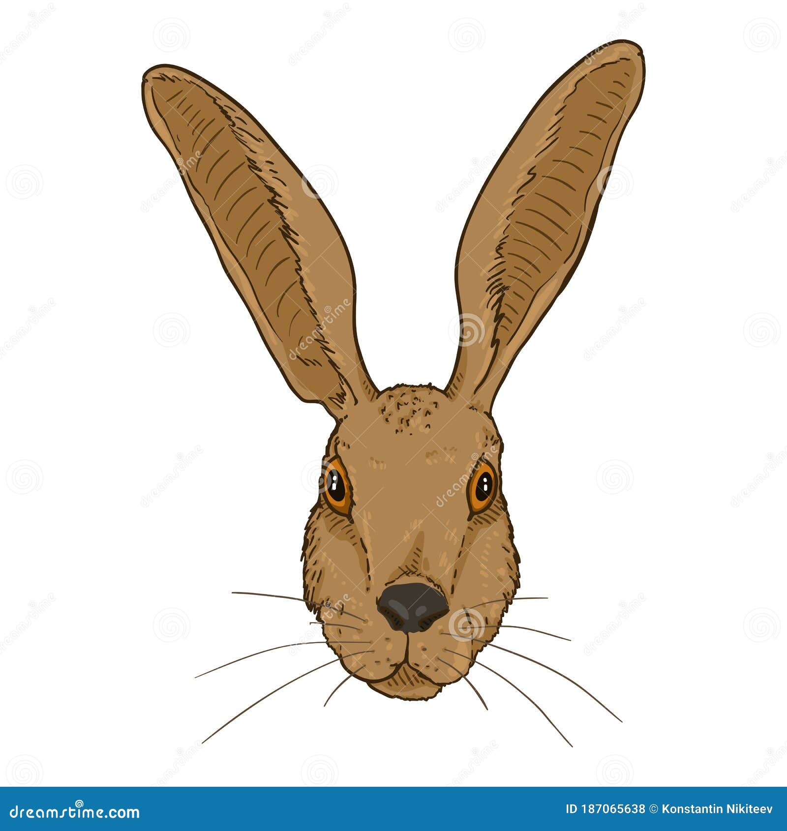 Vector Cartoon Hare Head stock vector. Illustration of forest - 187065638