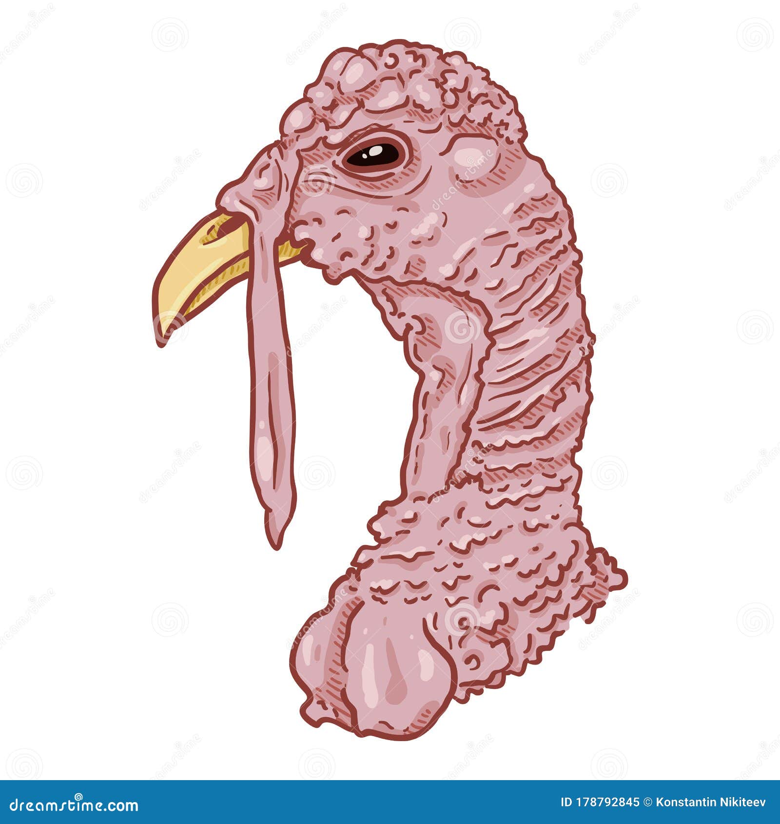 Vector Cartoon Head of Turkey Bird Stock Vector - Illustration of food ...