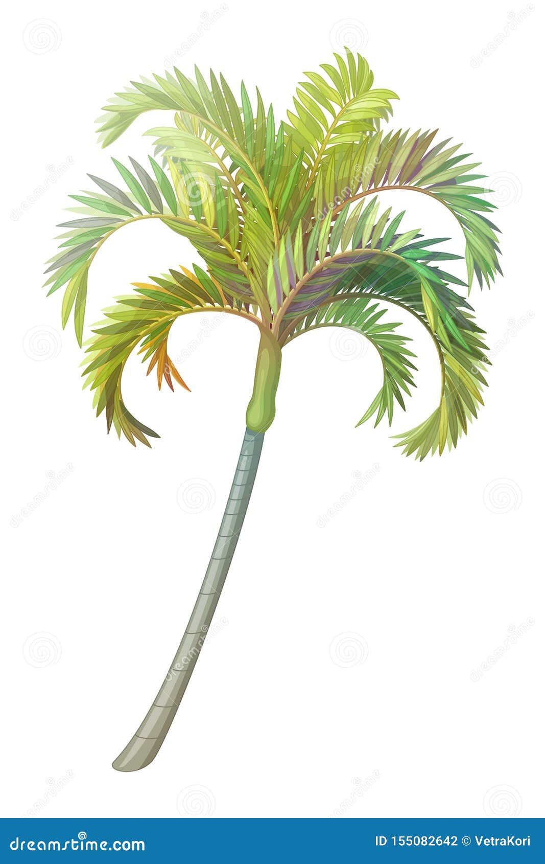 Vector Handdrawn Plant Clipart Palm Tree Stock Vector - Illustration of ... Vector Handdrawn Plant Clipart Palm Tree Stock Vector - Illustration of ...