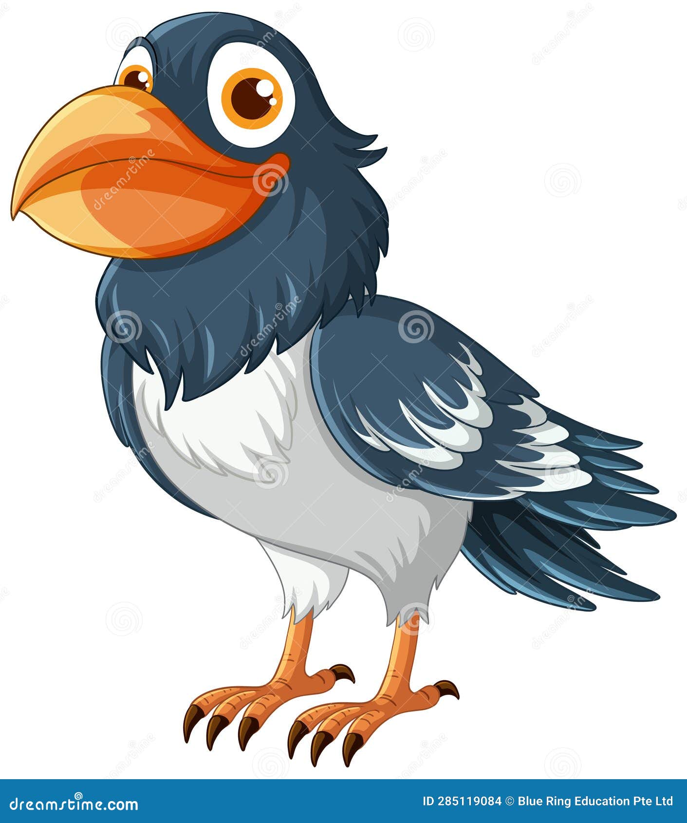 A Vector Cartoon Illustration Of A Raven Standing Isolated On A White ...