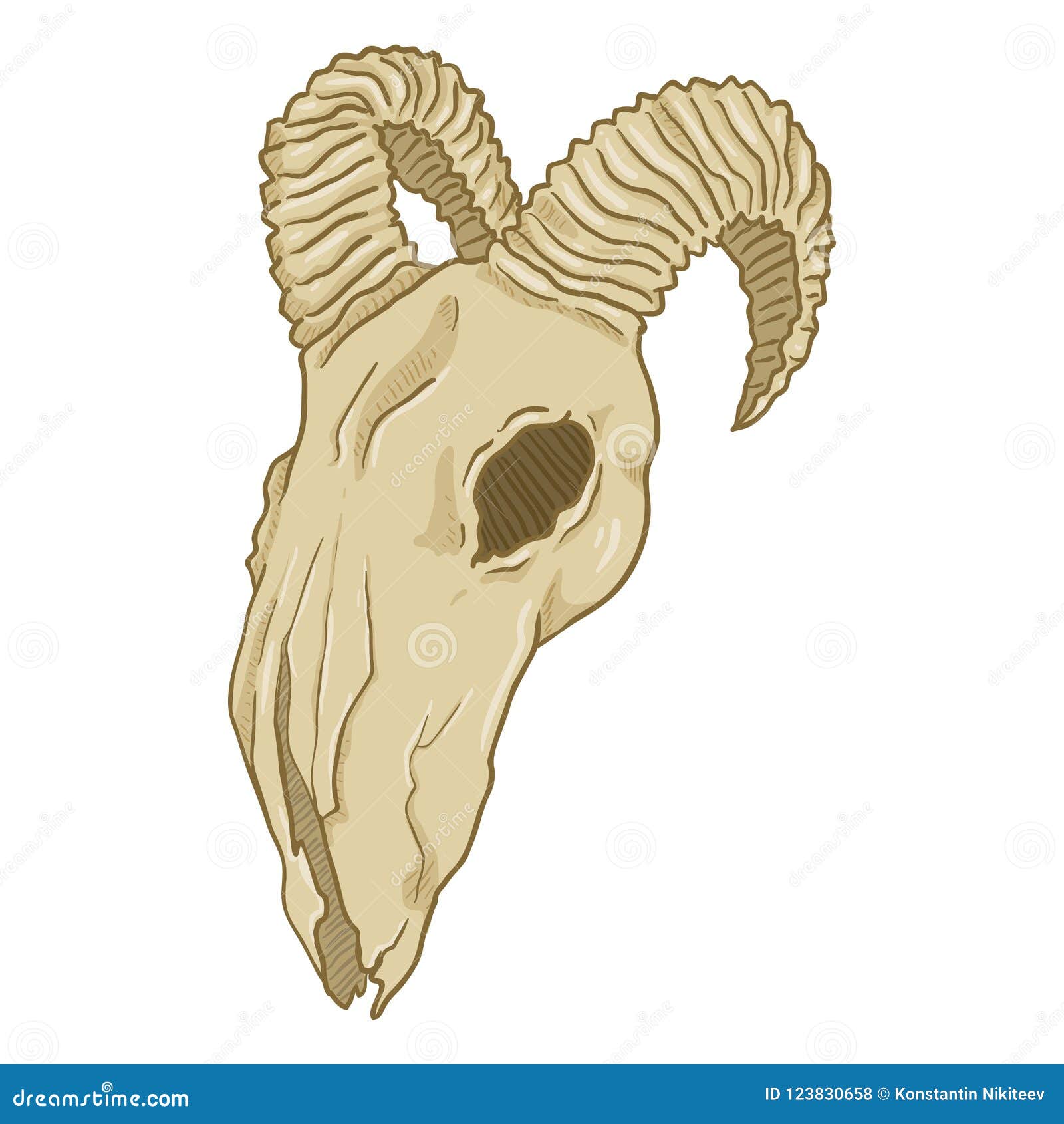 Evil Ram Skull Drawing