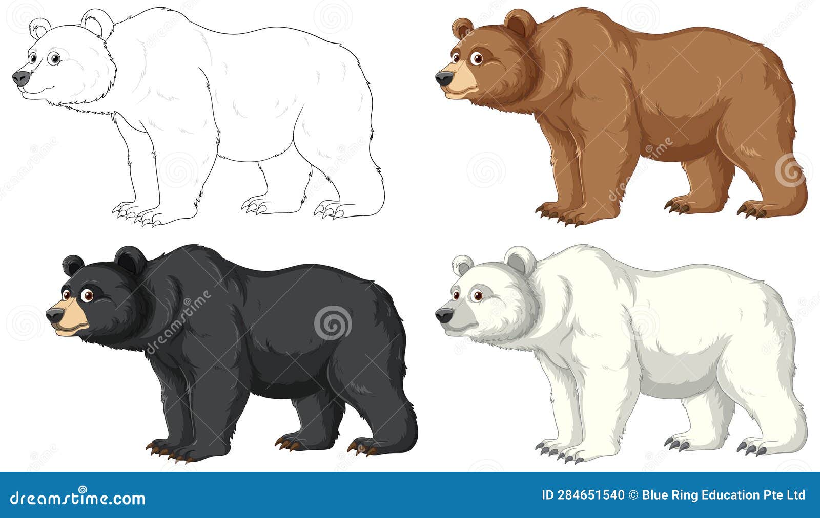 Different Bear Species stock vector. Illustration of cute - 284651540