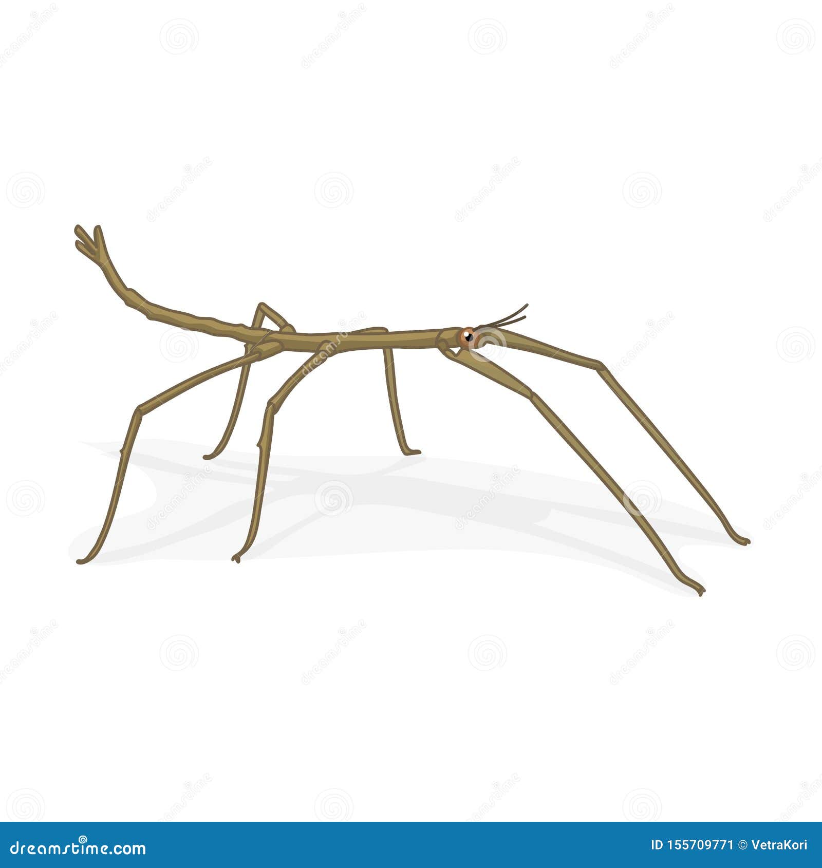Vector Cartoon Insect Clip Art Stock Vector - Illustration of draw ...