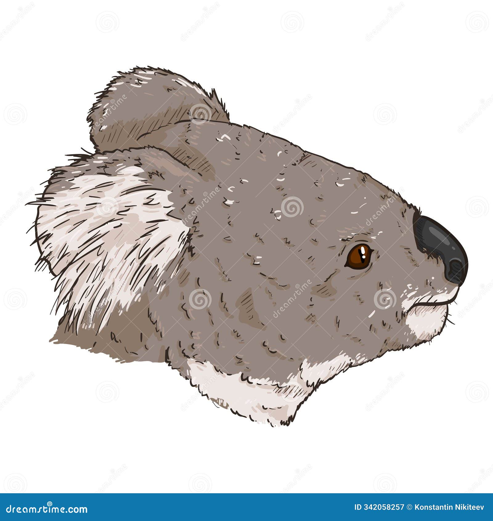 Vector Cartoon Koalas Head Illustration Stock Illustration ...