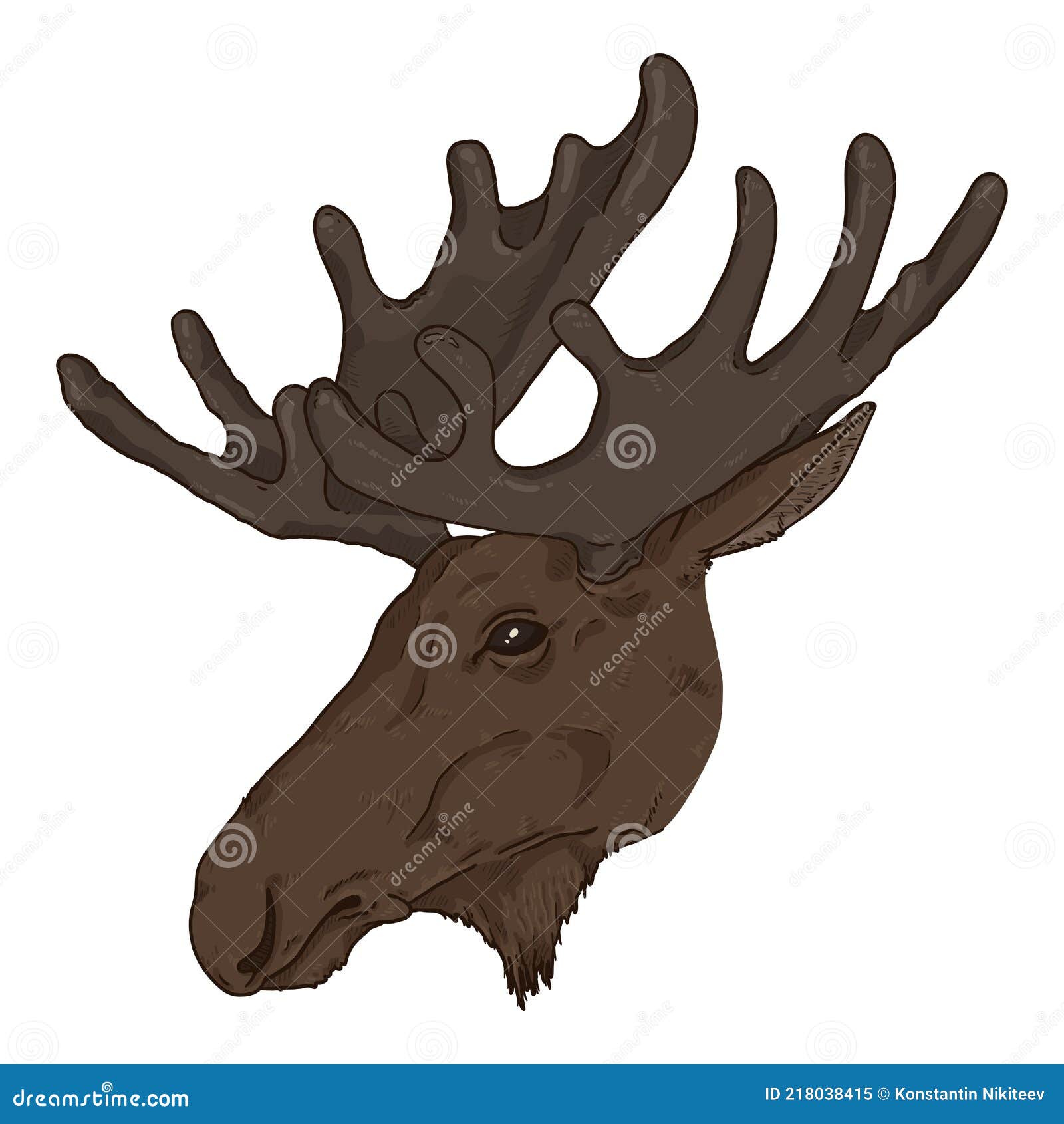 Cartoon Moose Face