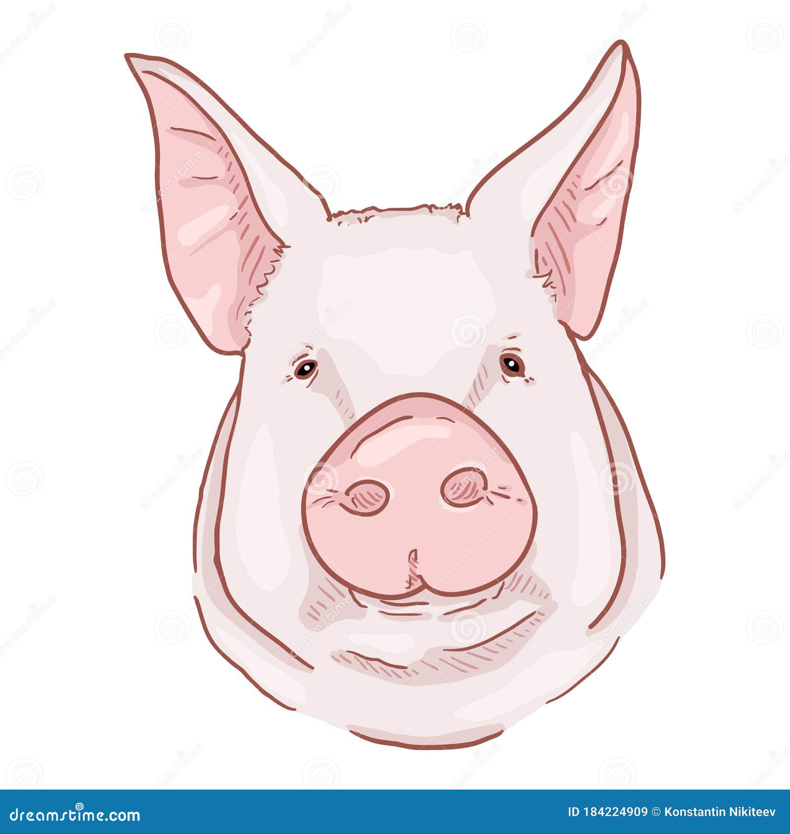 Vector Cartoon Pig Face stock vector. Illustration of cute - 184224909