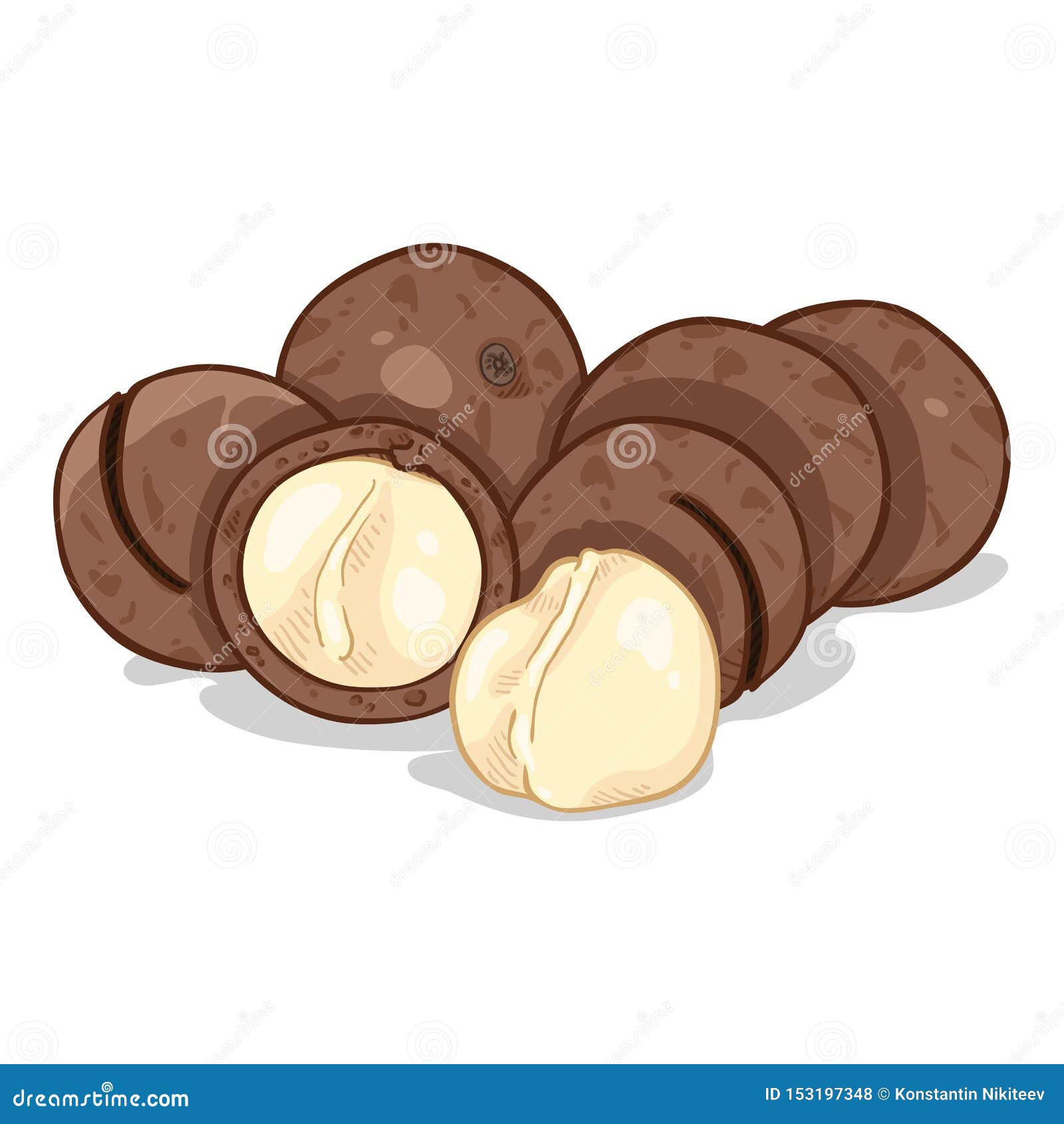 Vector Cartoon Pile of Macadamia Nuts Stock Vector - Illustration of ...