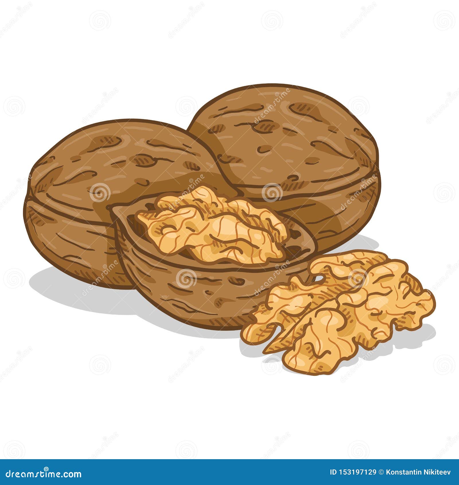 Vector Cartoon Pile of Walnuts Stock Vector - Illustration of menu ...