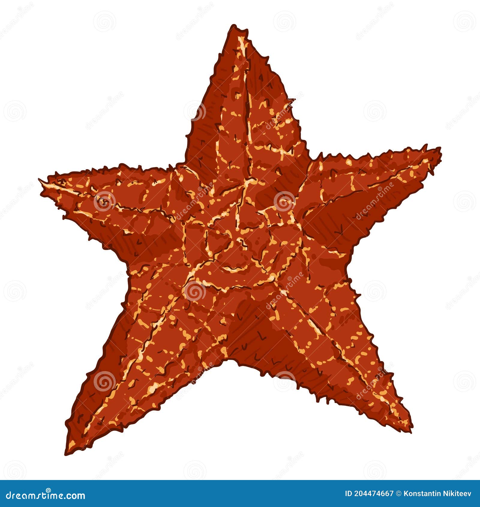 Vector Cartoon Starfish Illustration Stock Vector - Illustration of ...