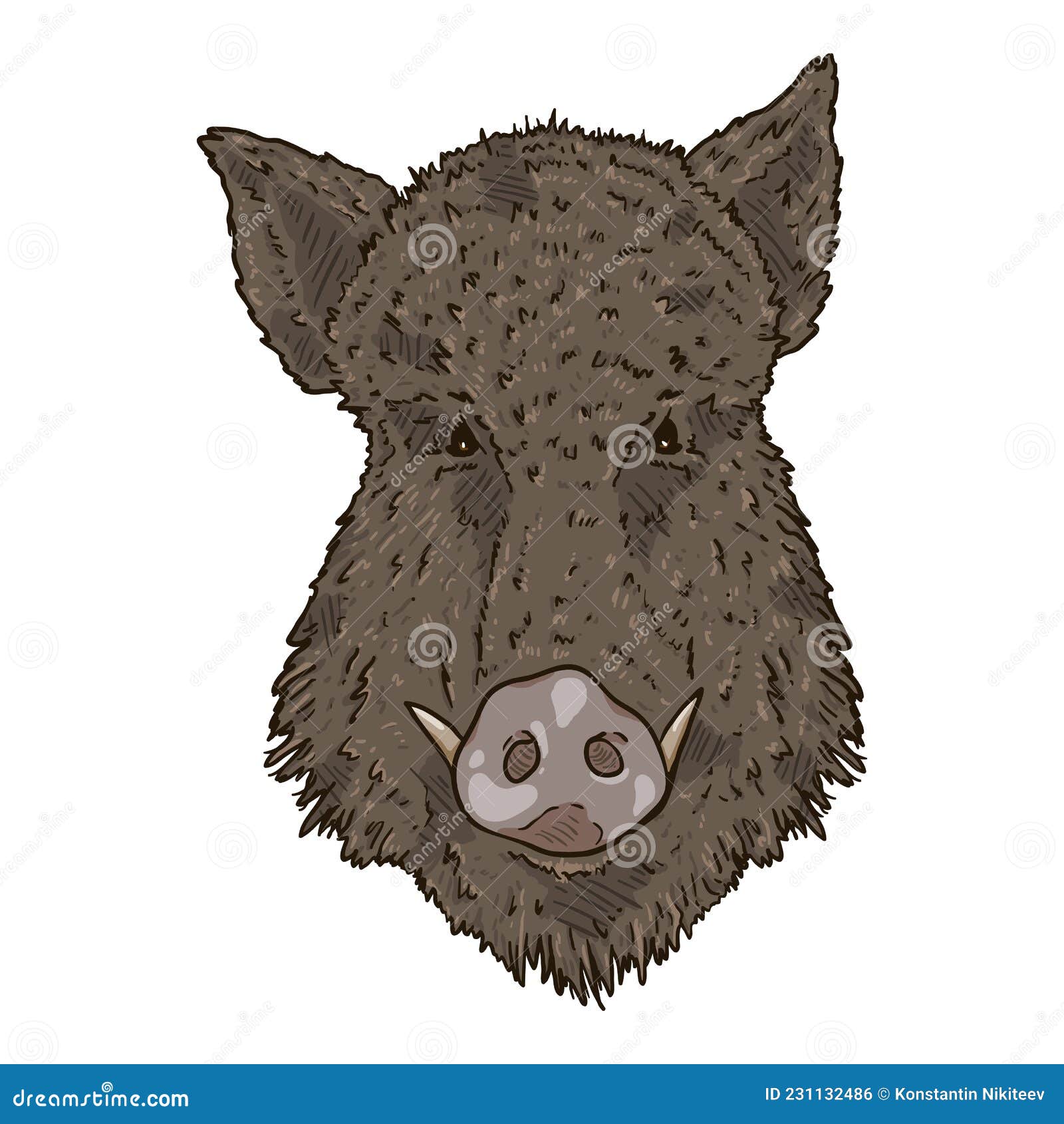 Vector Cartoon Wild Boars Head Illustration Stock Vector - Illustration ...