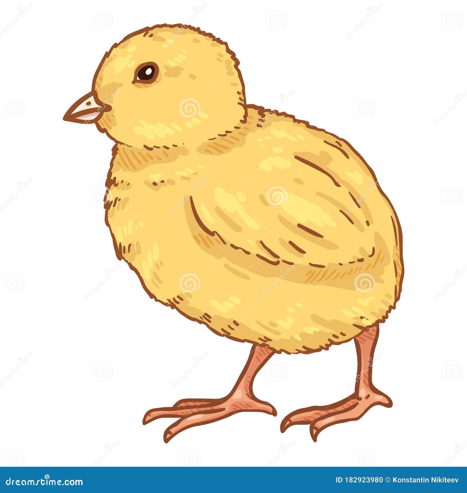 Vector Cartoon Chick Illustration Stock Vector - Illustration of ...