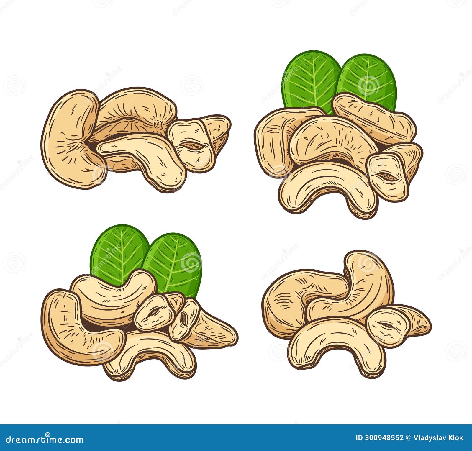 Vector Cashew Colorful Illustration Stock Vector - Illustration of milk ...
