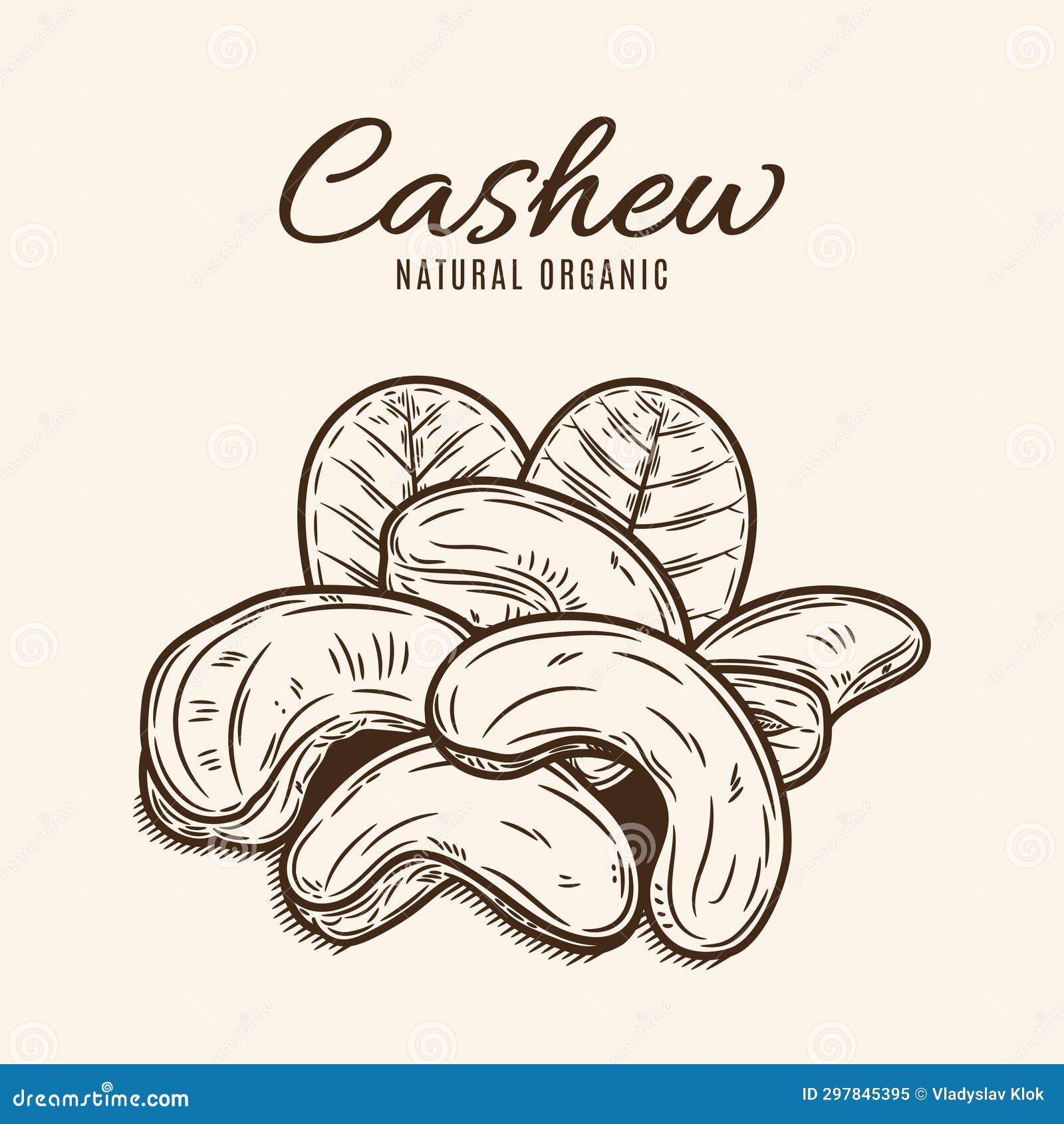 Vector Cashew Nut Icon. Farm Fruit Element. Premium Quality Graphic ...