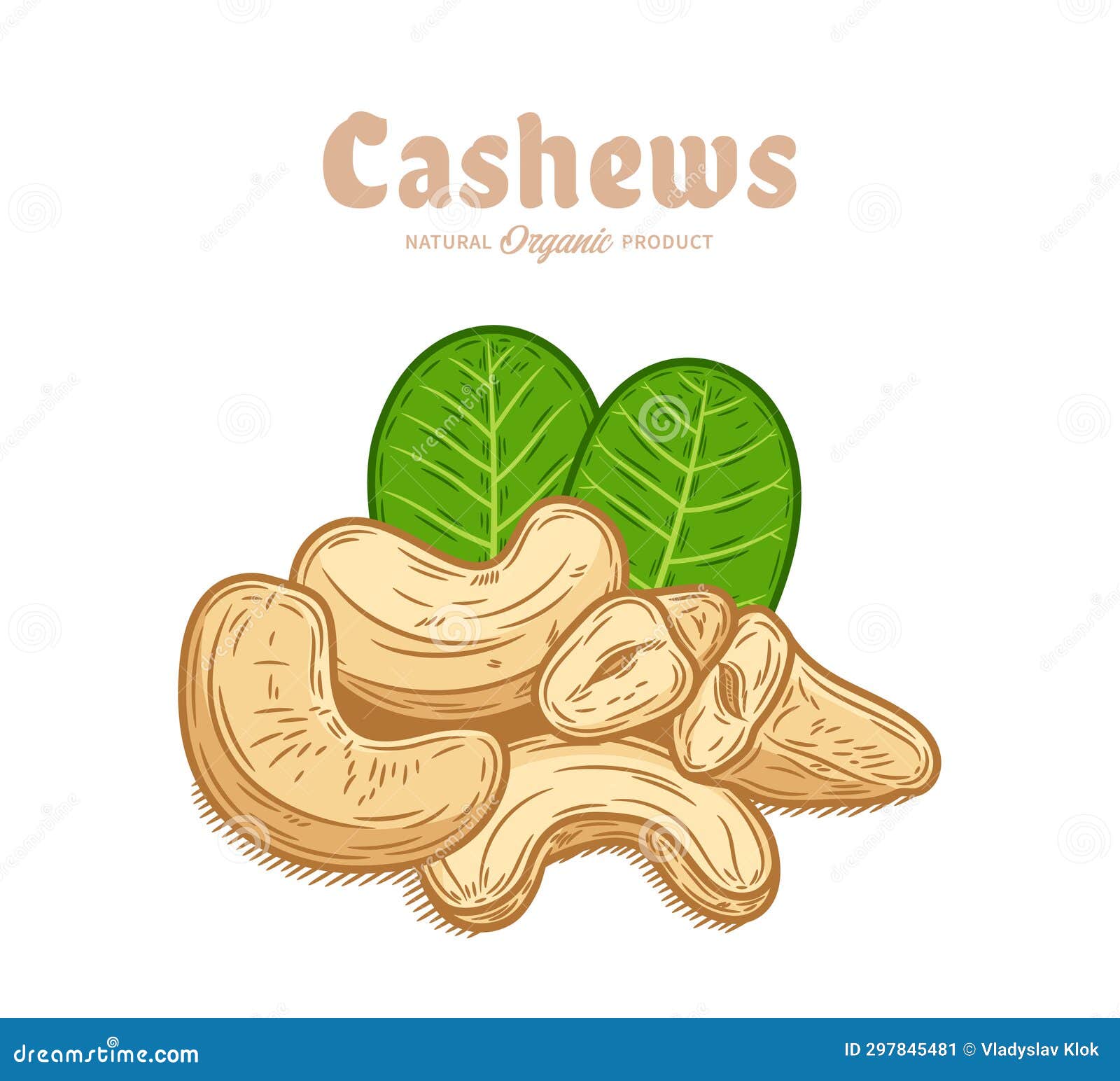 Vector Cashew Nuts Packaging Design Template | CartoonDealer.com #303583566