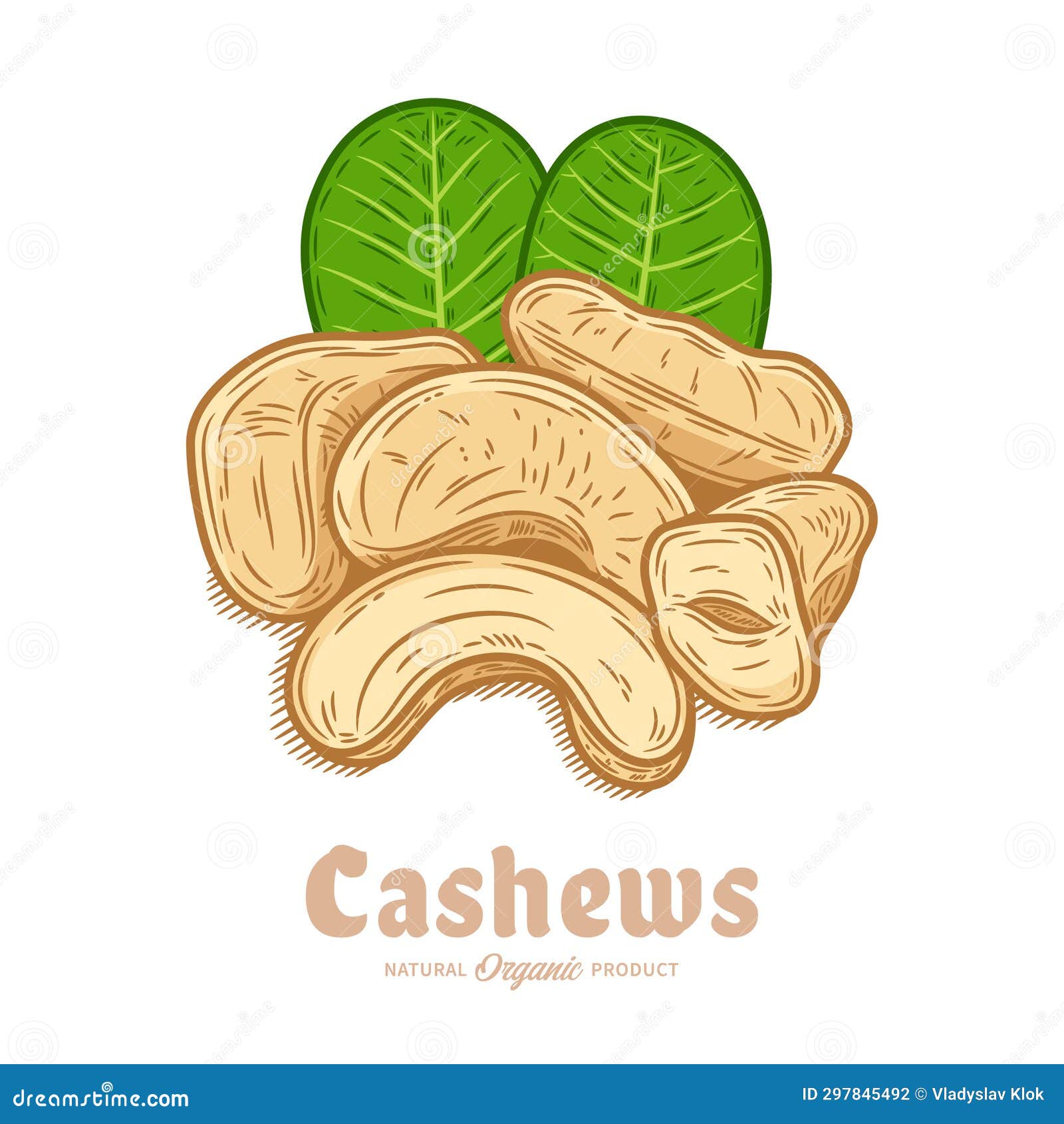 Vector Cashew Nuts Illustrations | CartoonDealer.com #297845502
