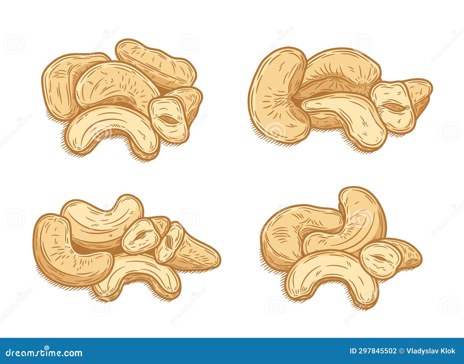 Vector Cashew Nuts Illustrations Stock Vector - Illustration of ...