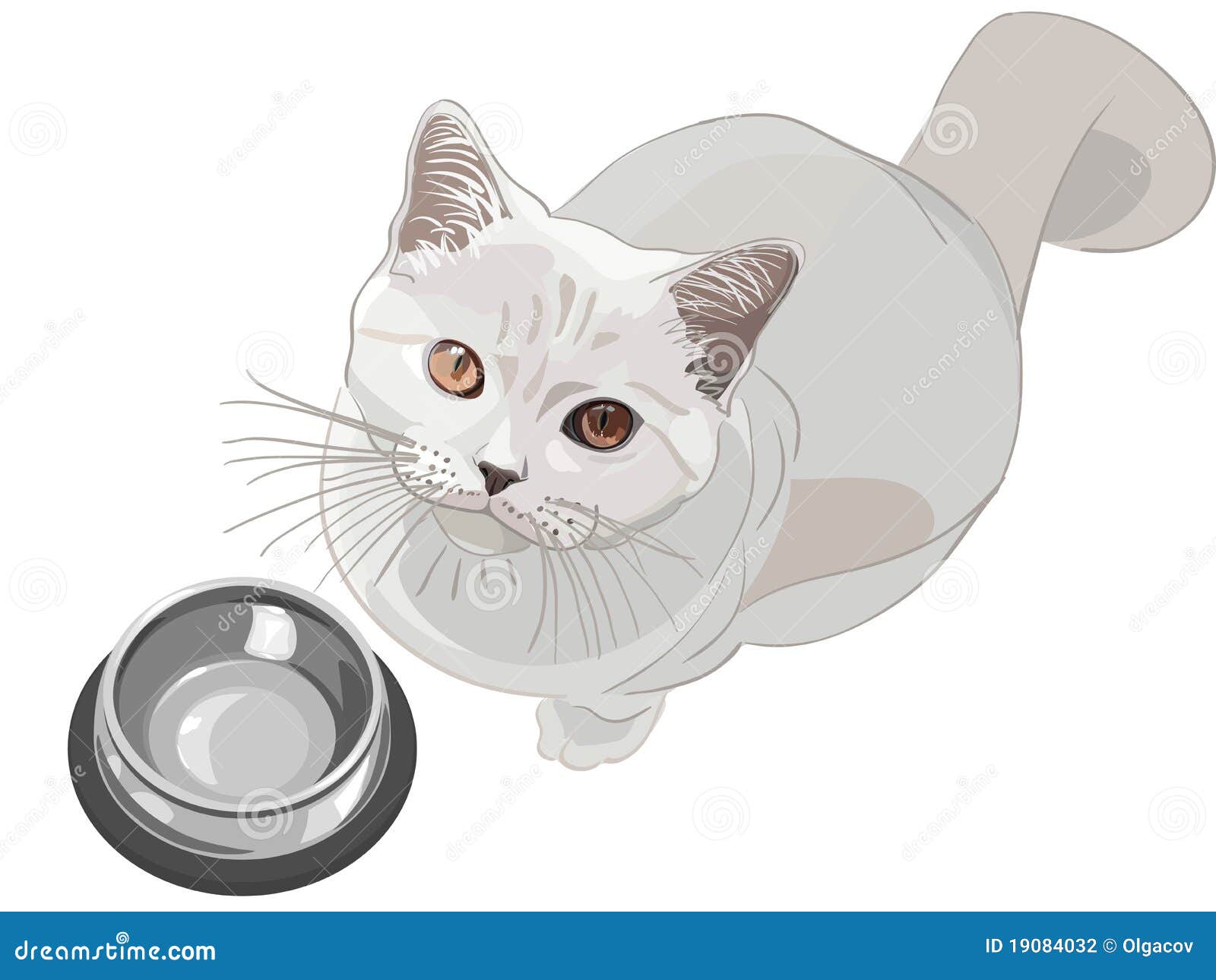 Hungry Cat Cartoon Vector | CartoonDealer.com #70333457