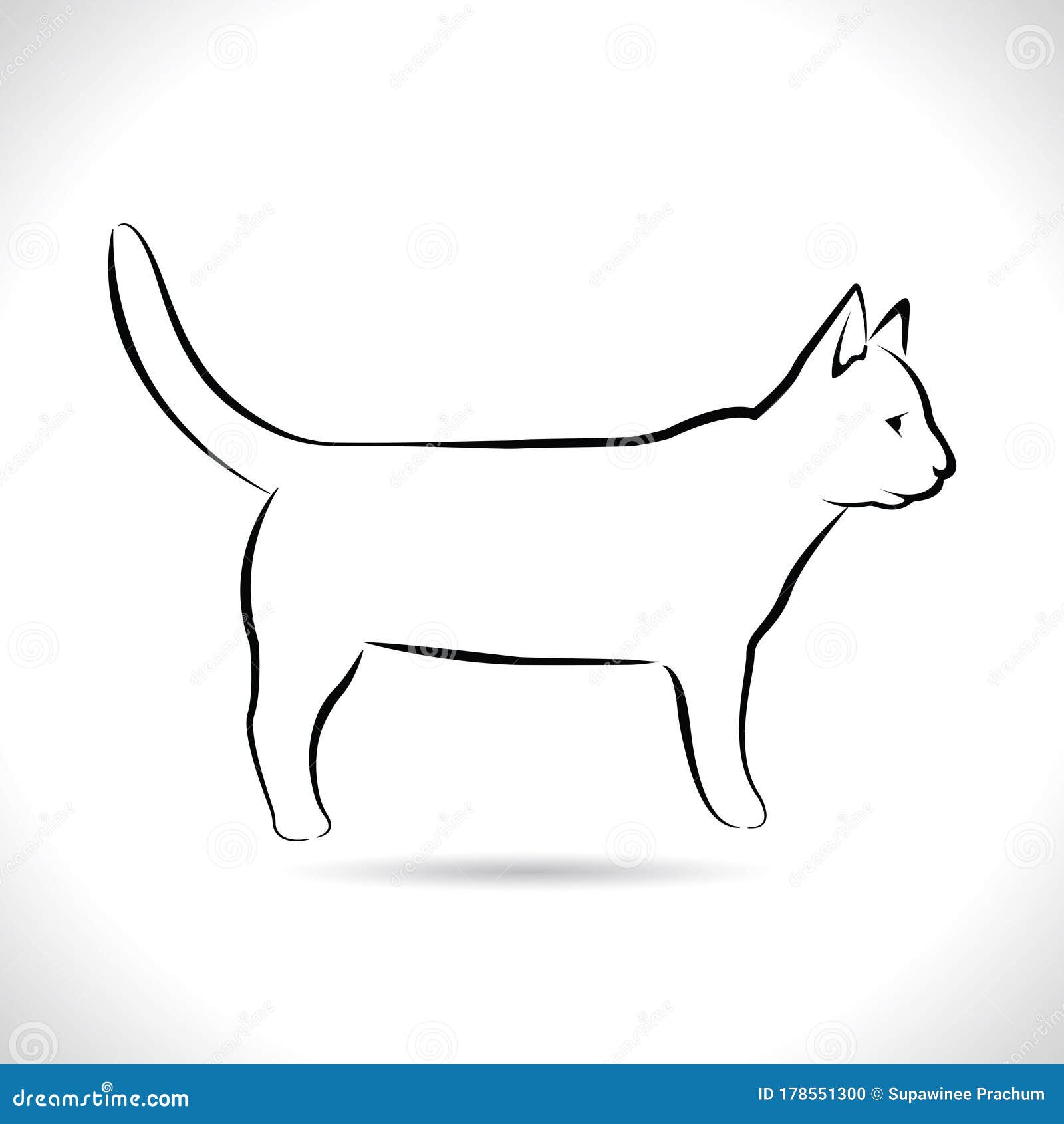 Vector of Cat , Walking, Playing, Different Graphic Images of Cats ...