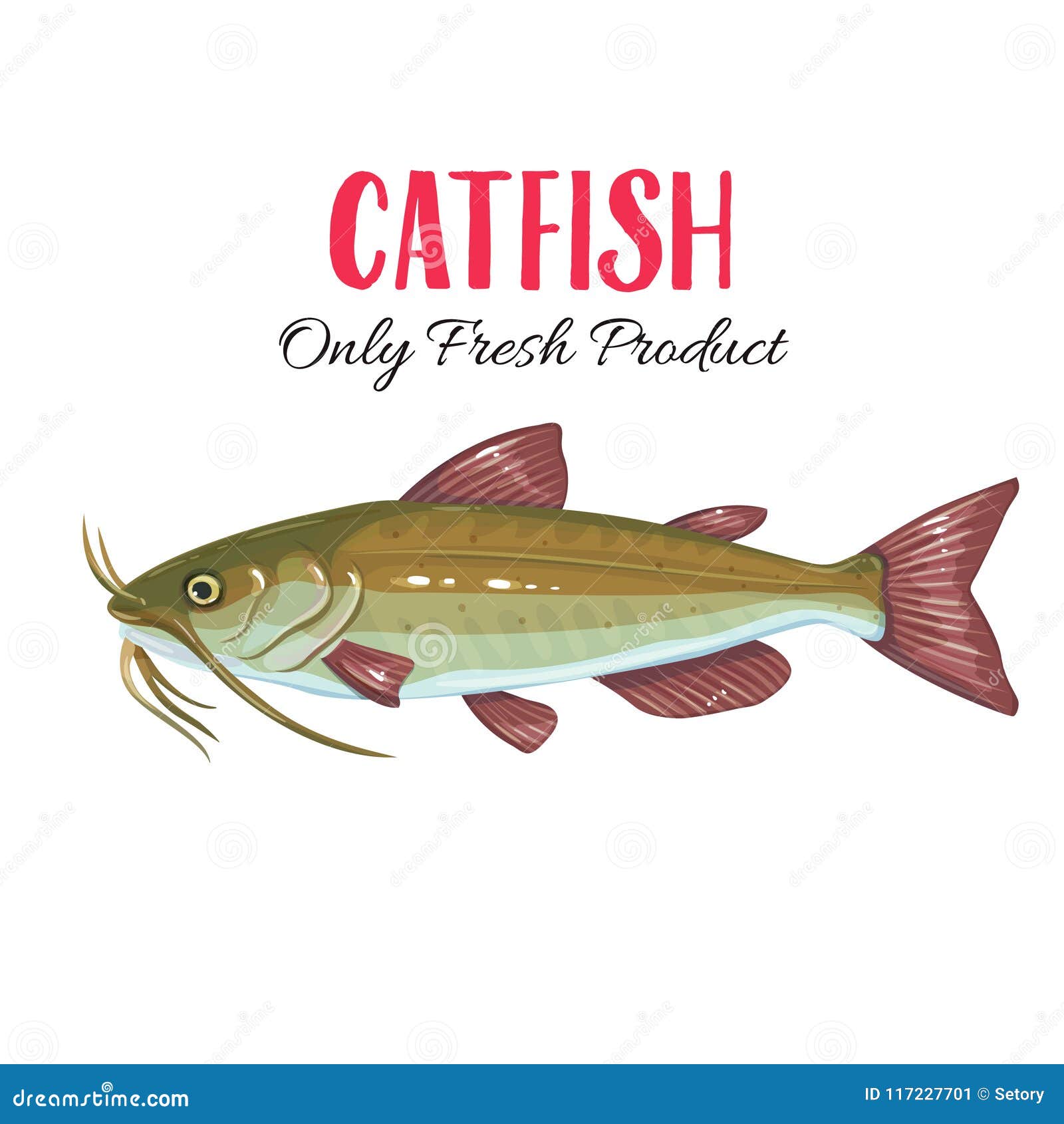Catfish Cartoons, Illustrations & Vector Stock Images - 2111 Pictures ...