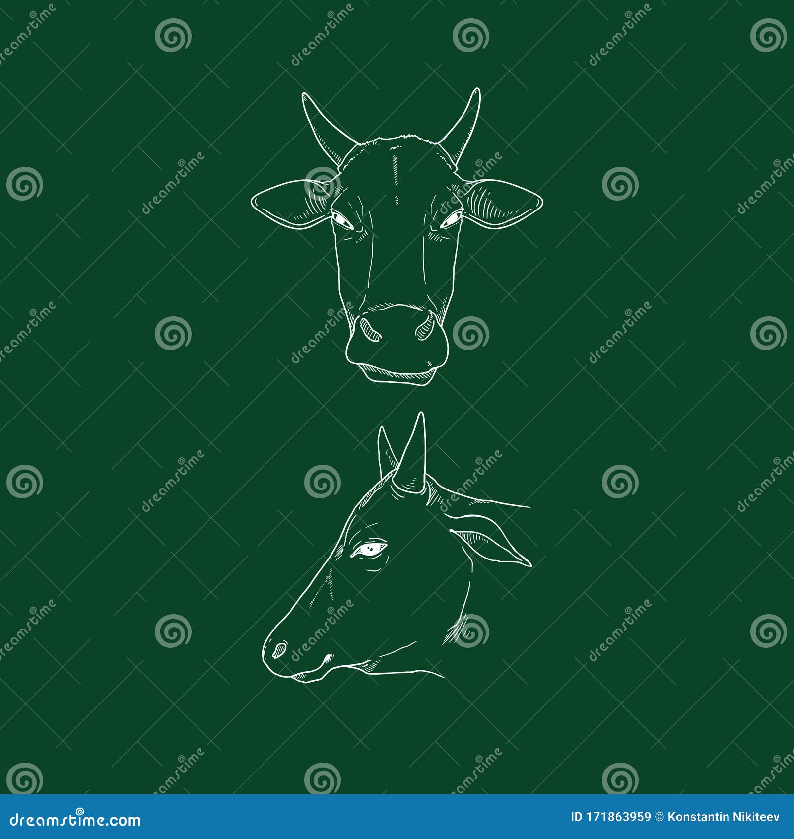 Vector Chalk Sketch Cow Heads Stock Vector - Illustration of drawn ...