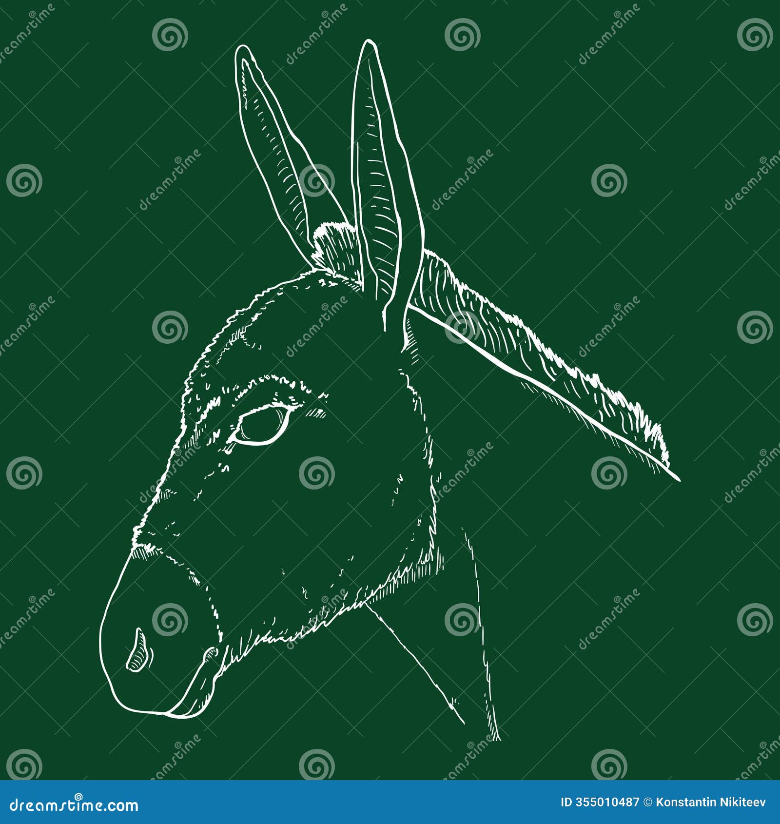 Vector Sketch Donkey Head. Side View Illustration Stock Illustration ...