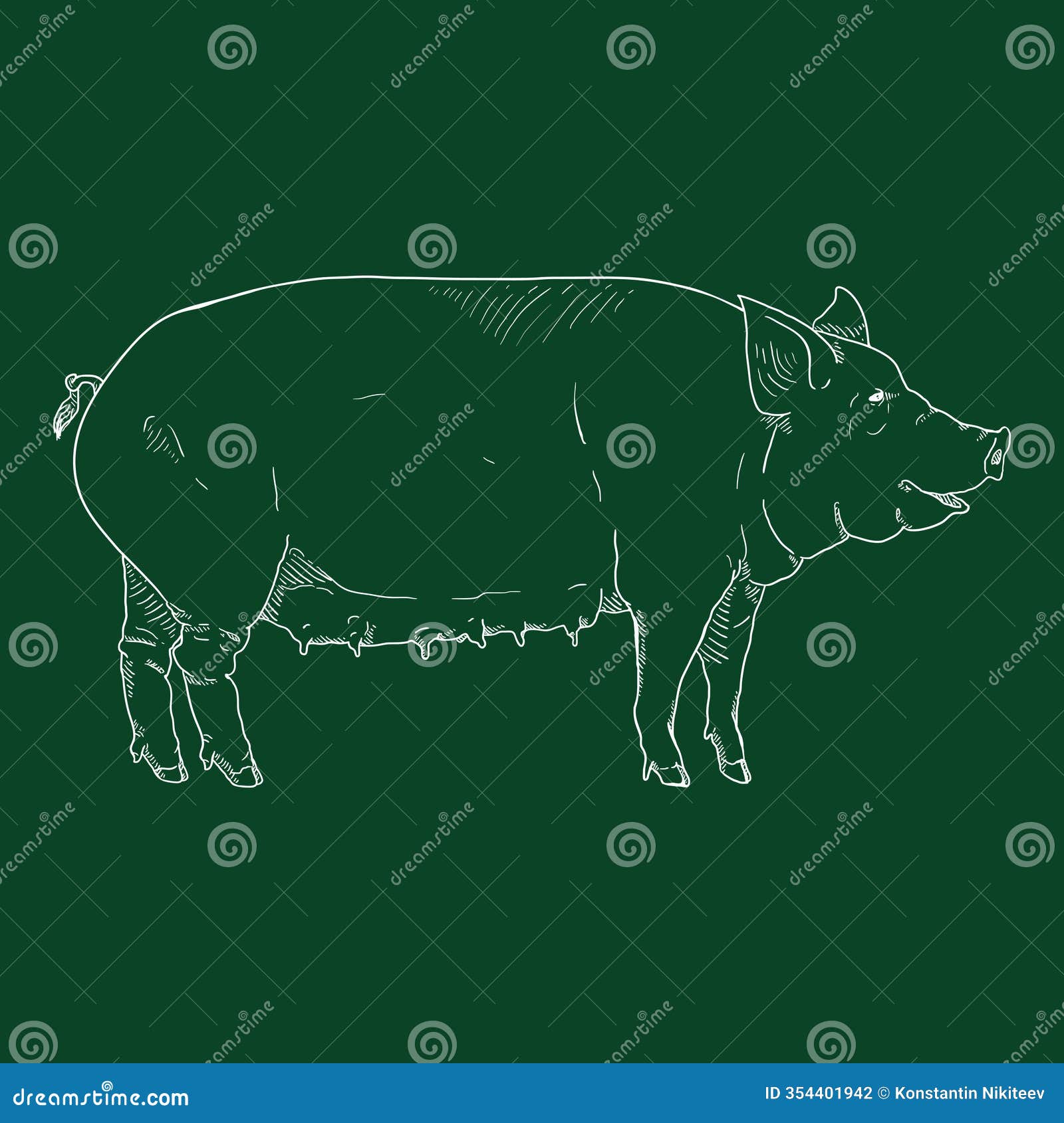 Vector Chalk Sketch Pig Hand Drawn Illustration Stock Vector ...