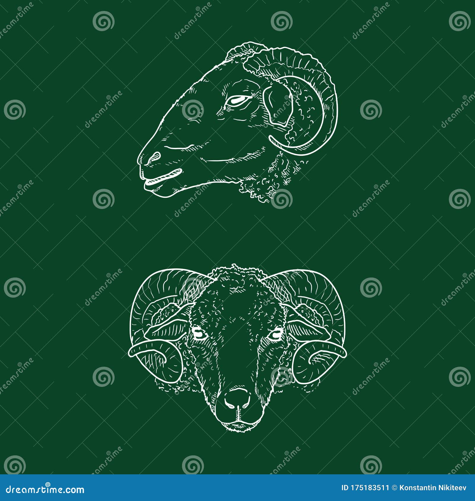 Vector Chalk Sketch Ram Heads Stock Vector - Illustration of view, head ...