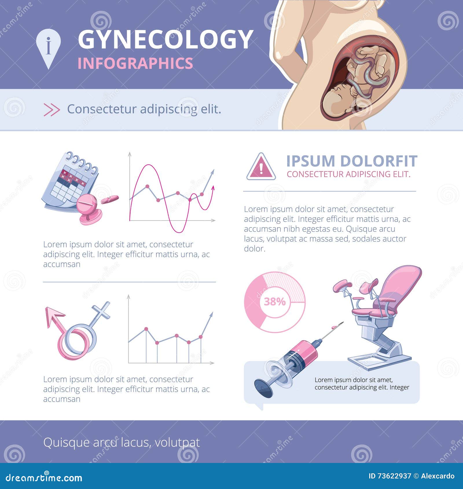 Vector Chart Infographic Elements about Pregnancy Stock Vector ...