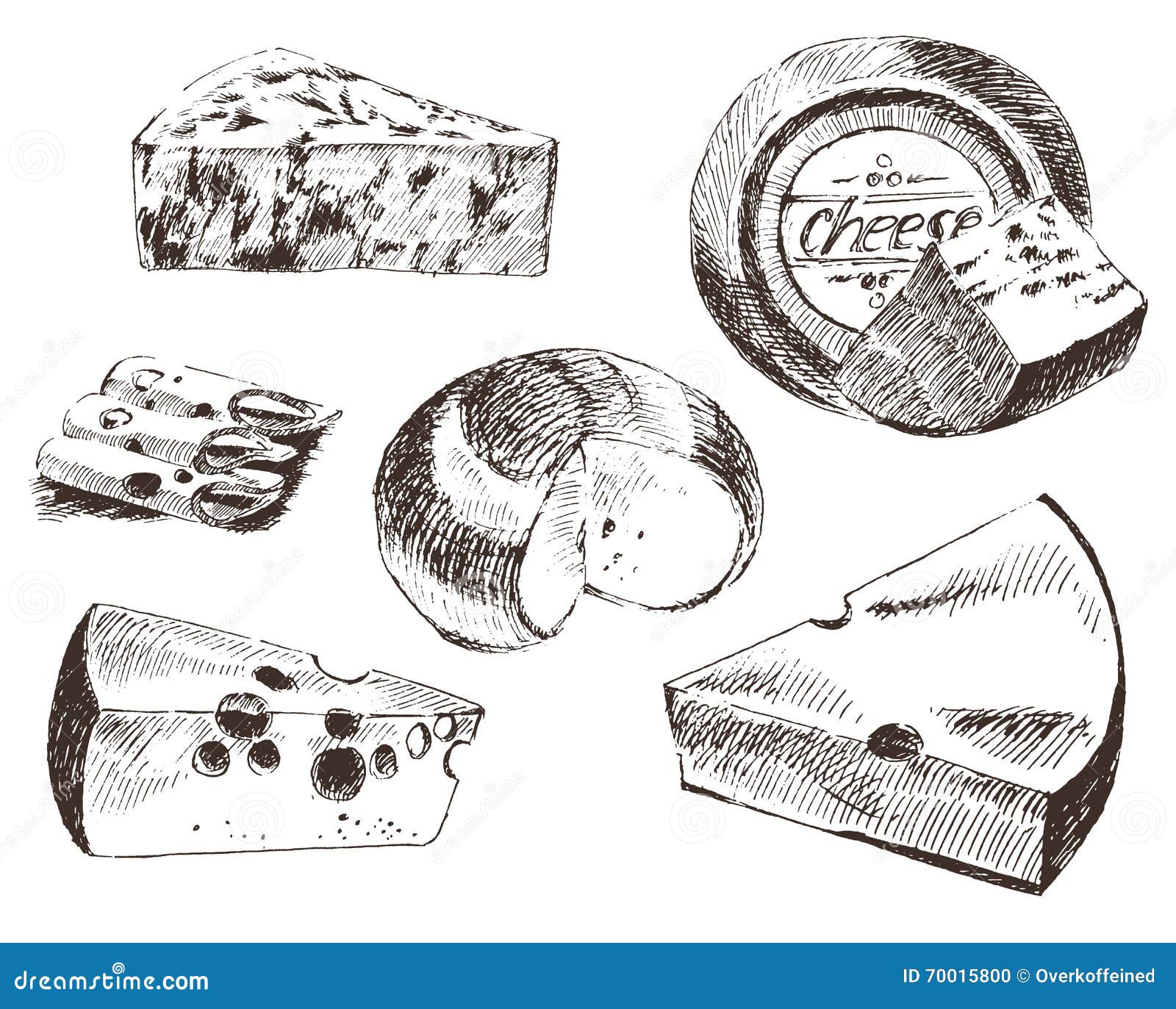 Vector Cheese Sketch Drawing Designer Template Farm Food Collection