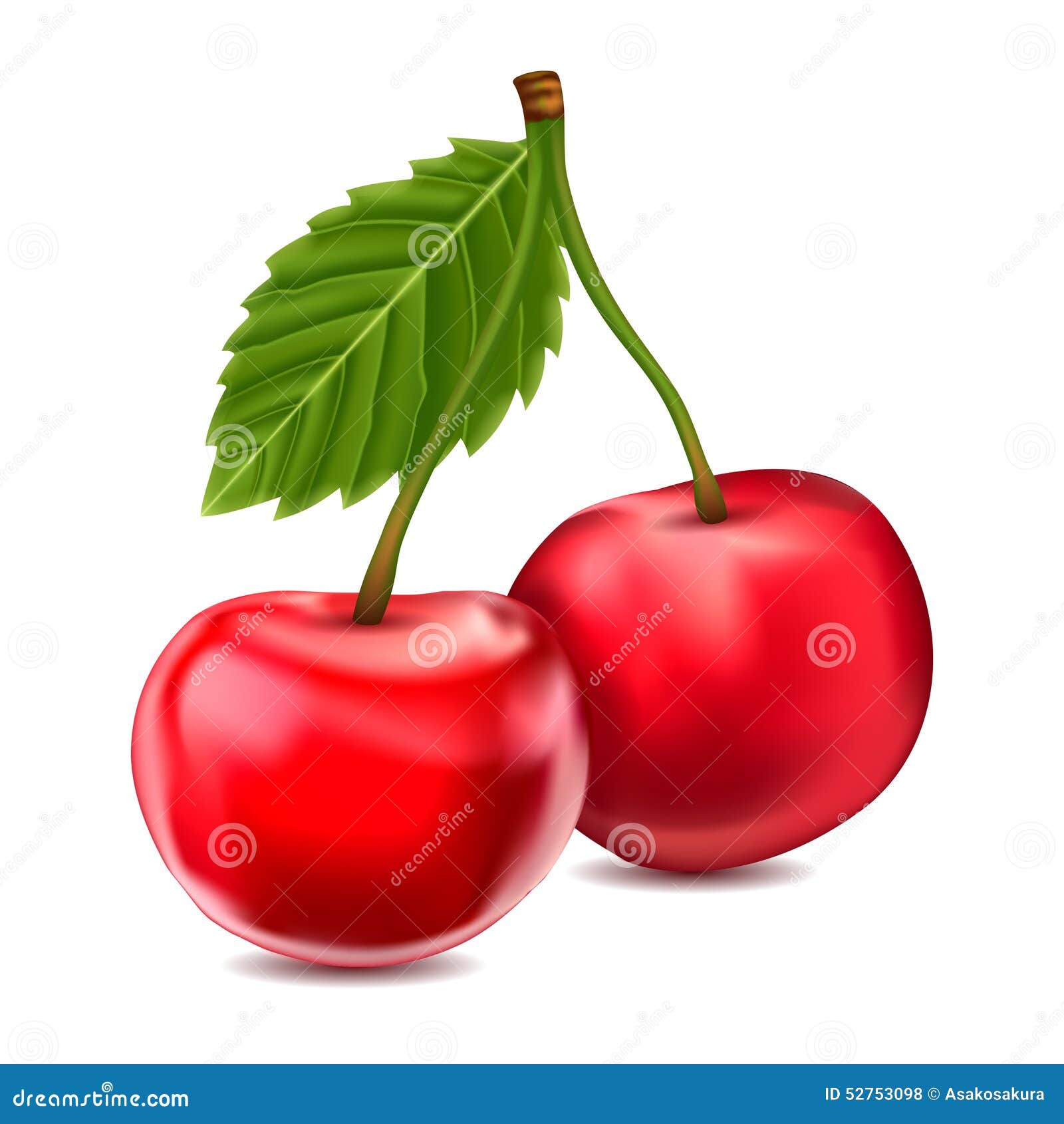 Vector cherries stock vector. Illustration of green, drops - 52753098