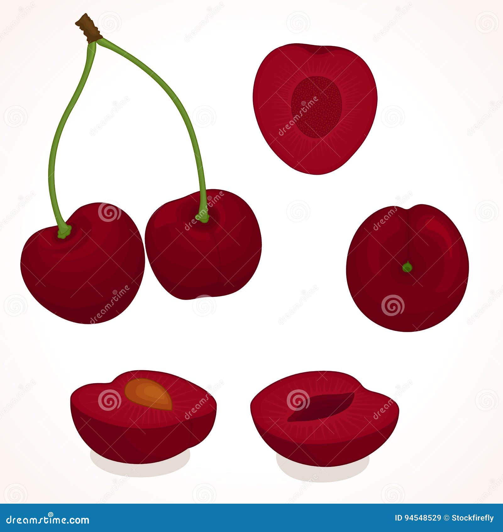 Vector Cherries. Sliced, Whole, Half Cherri. Stock Vector ...